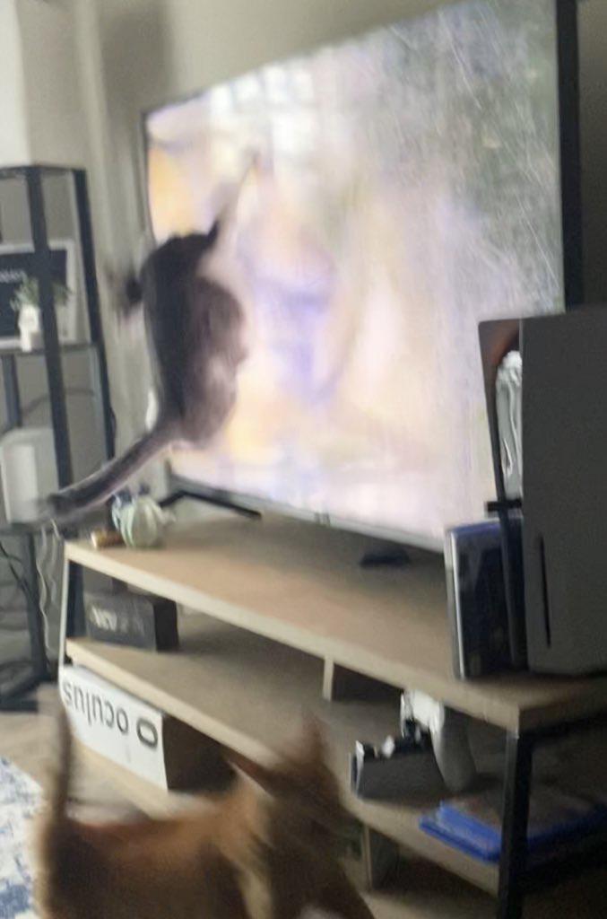 Before & after disaster | Scrolller