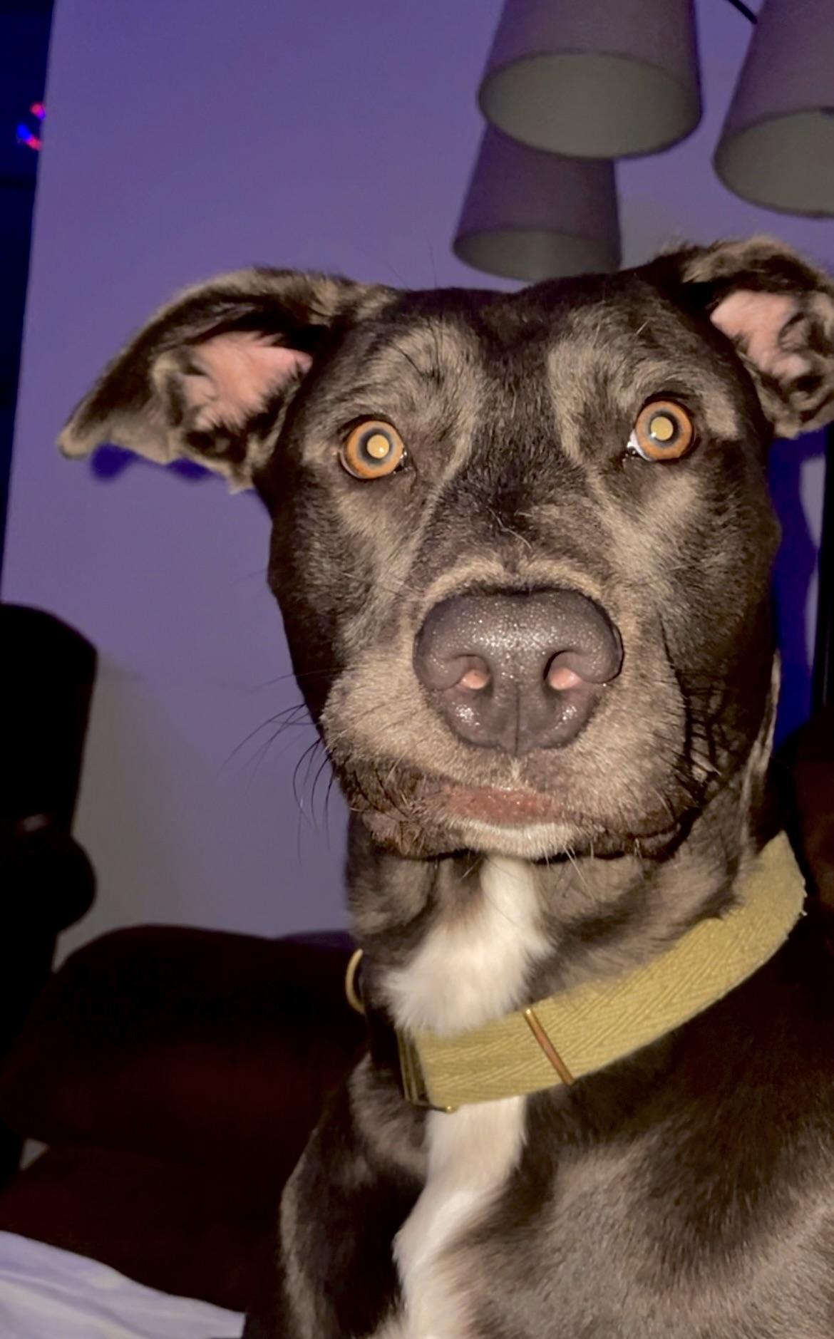 This is Squash doing what Squash does | Scrolller