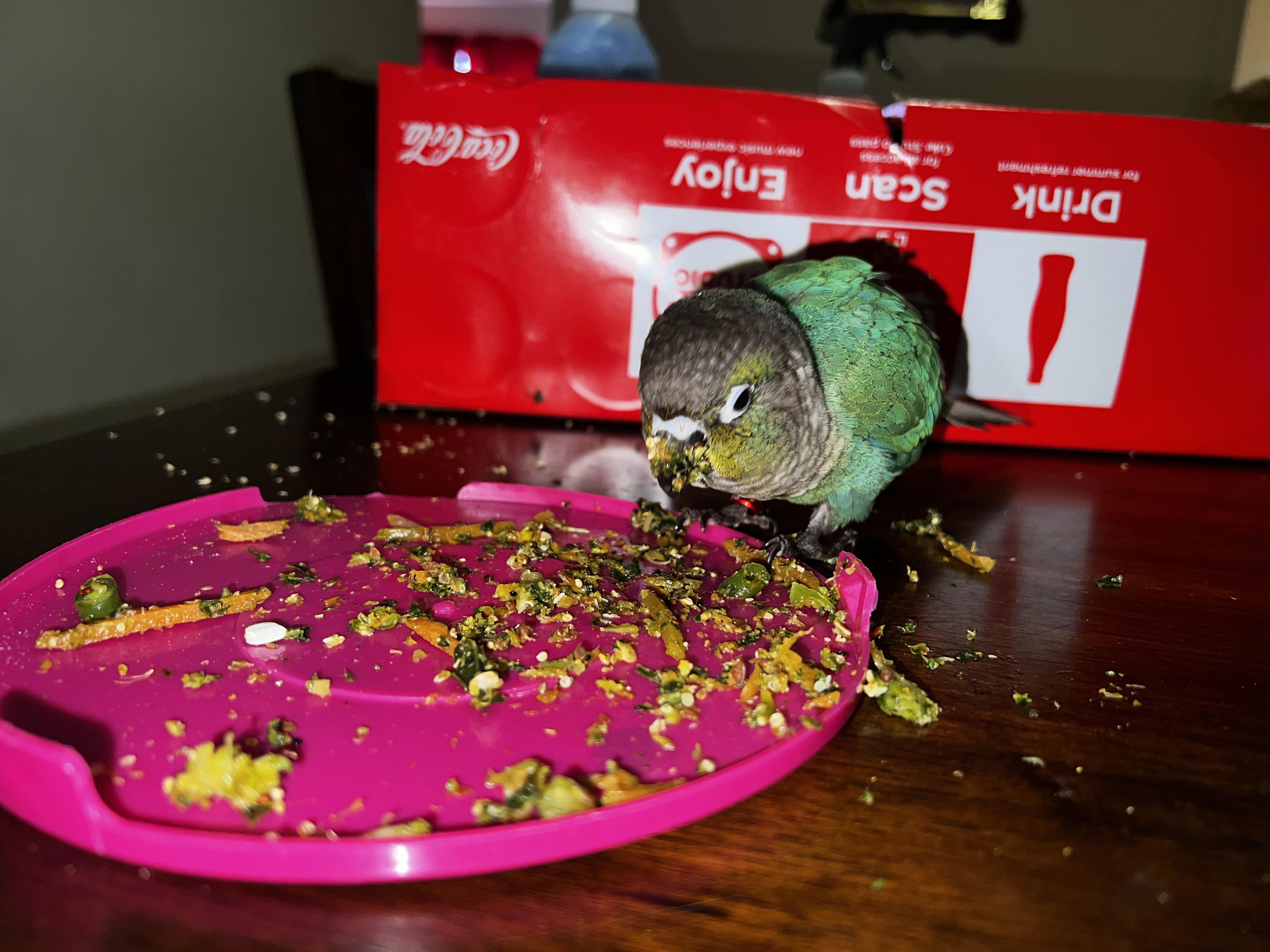 It’s almost time to make a new batch any chop recipes!? | Scrolller