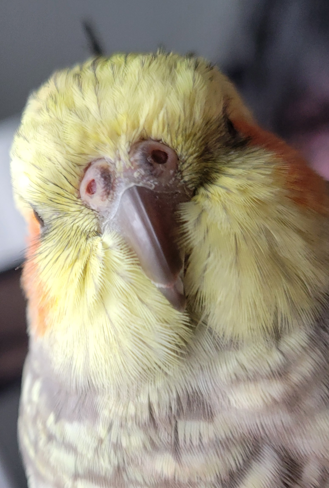 Is this normal? | Scrolller