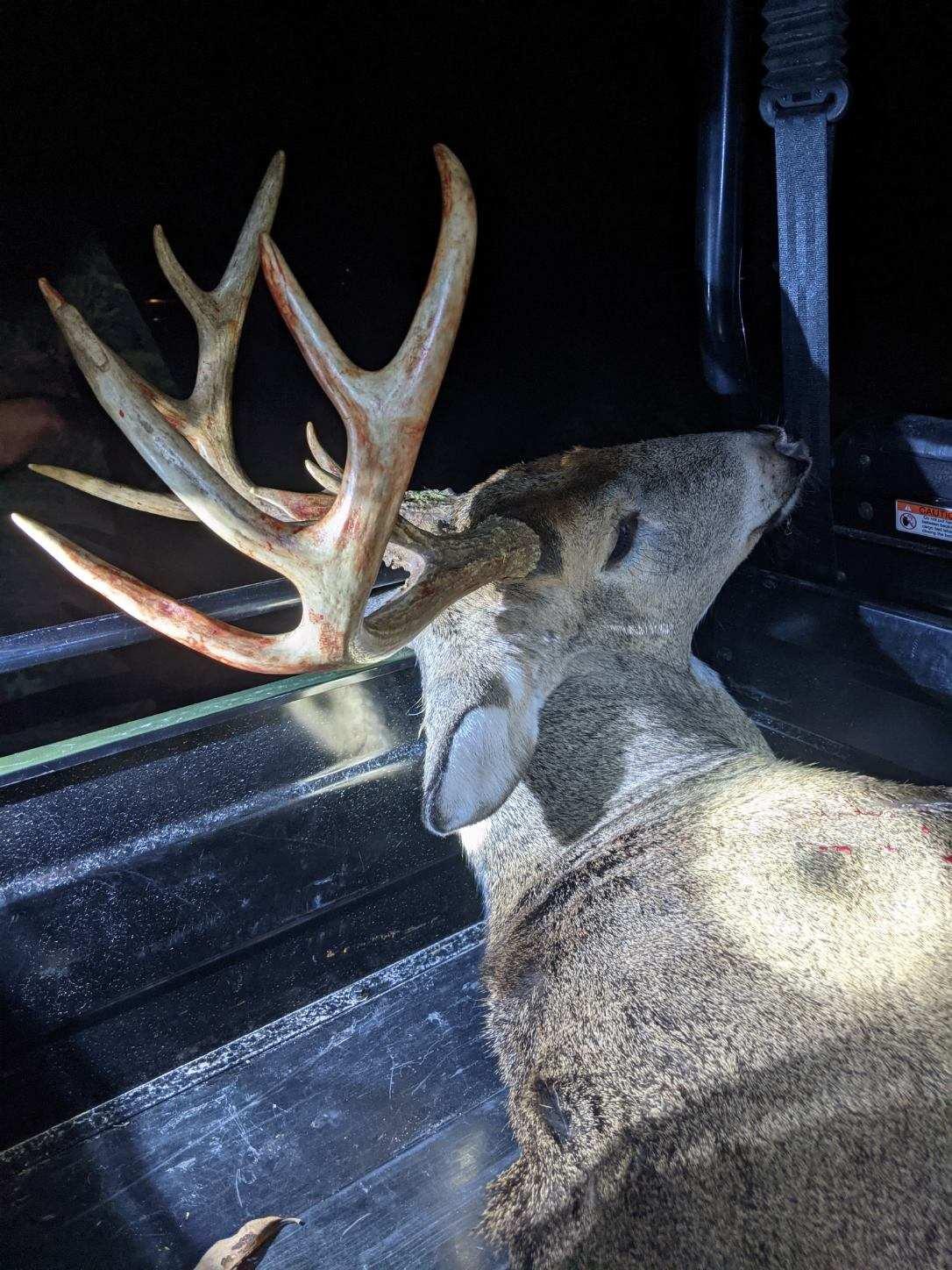 My first bow buck | Scrolller