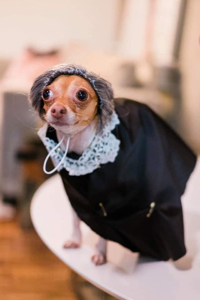 Ruth Bader Peaches | Scrolller