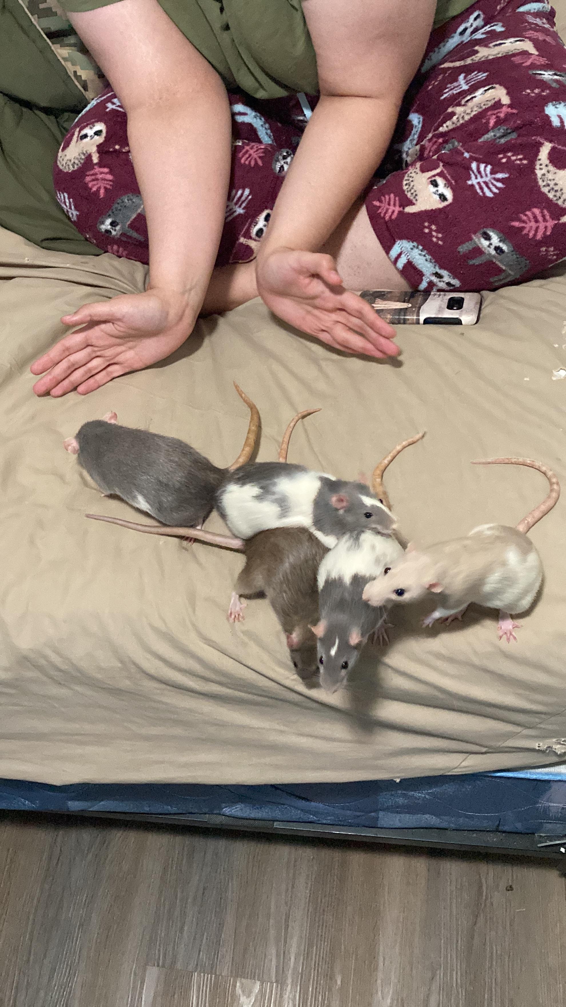 Science is finally in the mischief | Scrolller