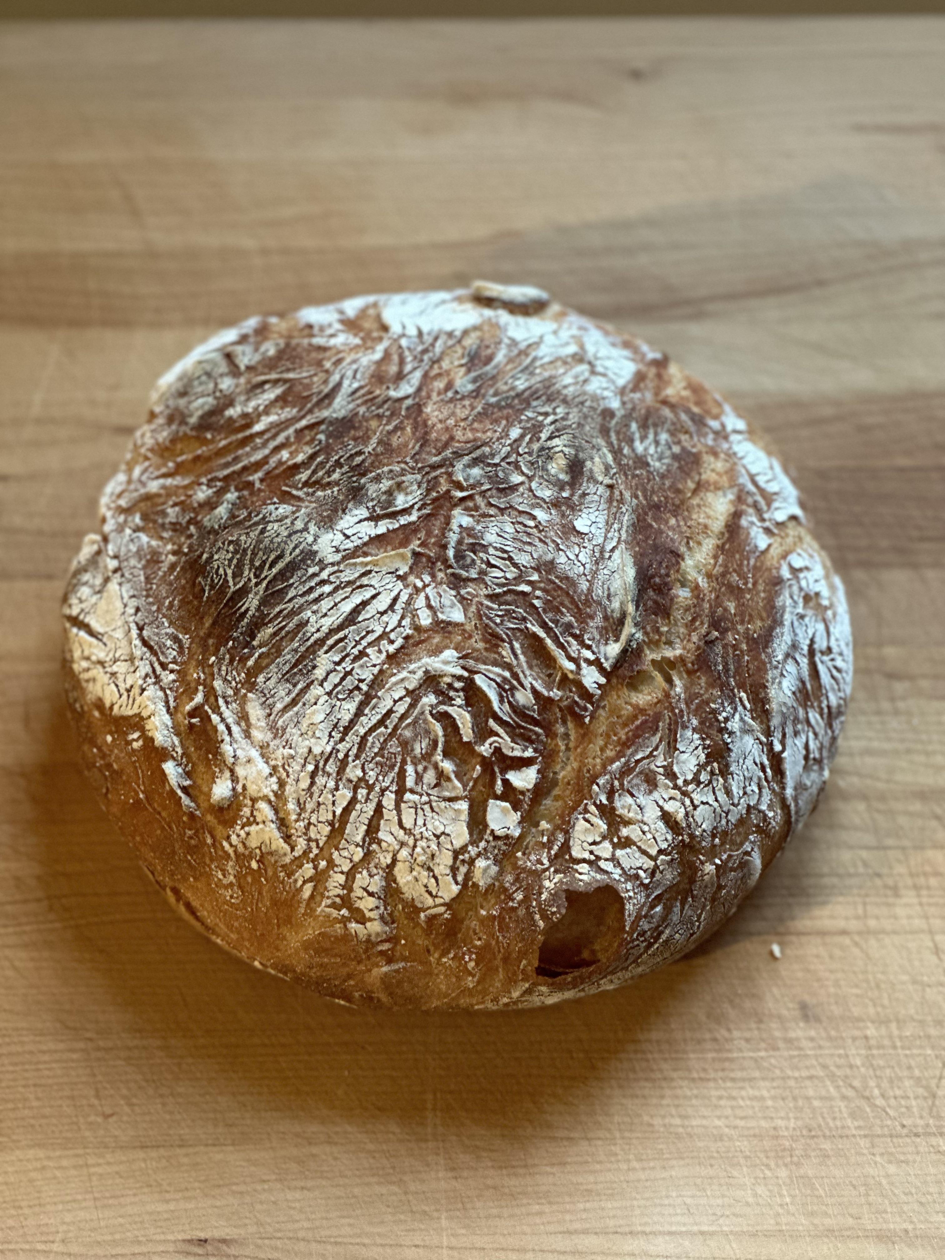 First Loaf | Scrolller