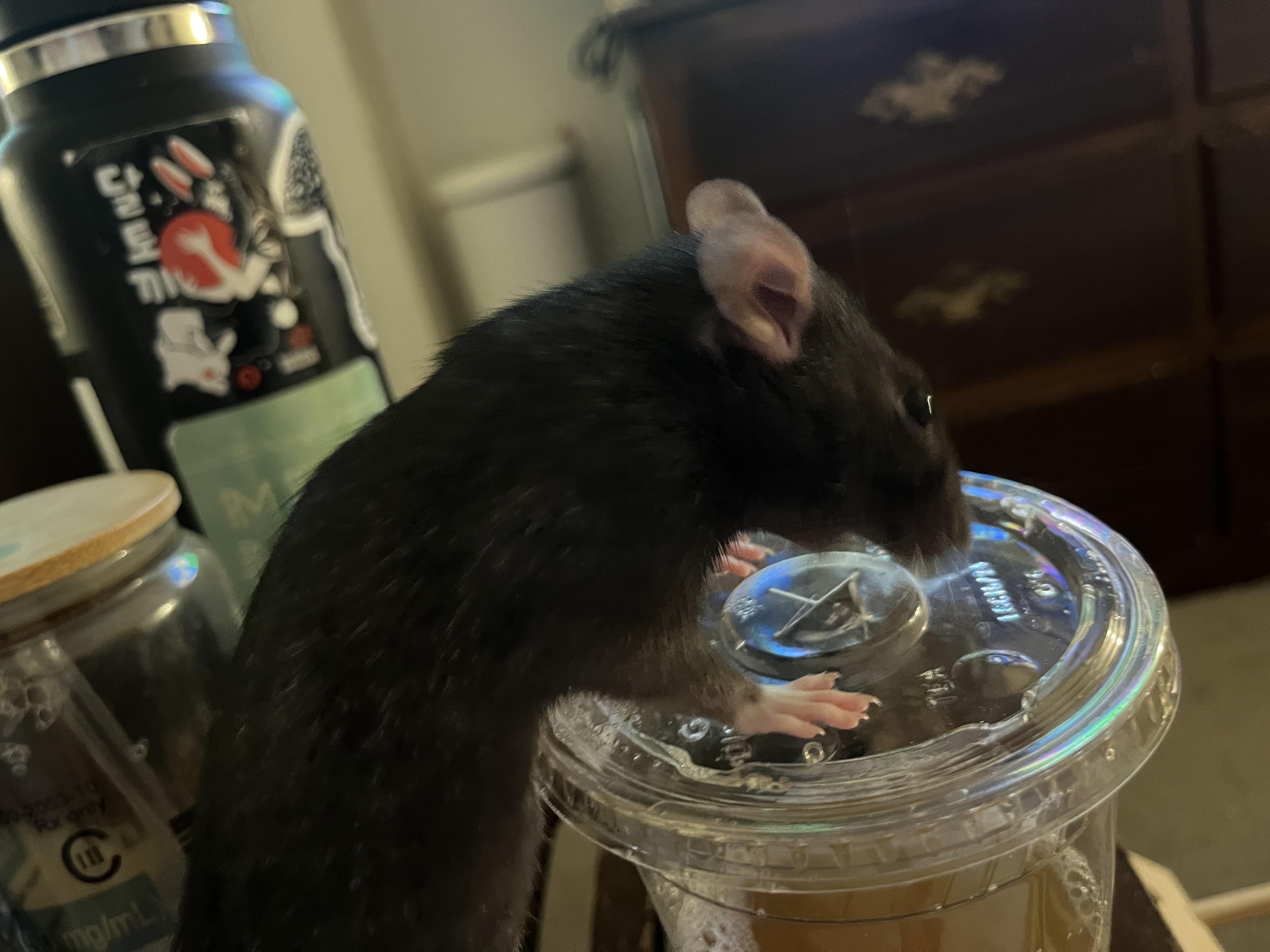 She thinks her sisters name is her name. What’s her problem, is she stupid? | Scrolller