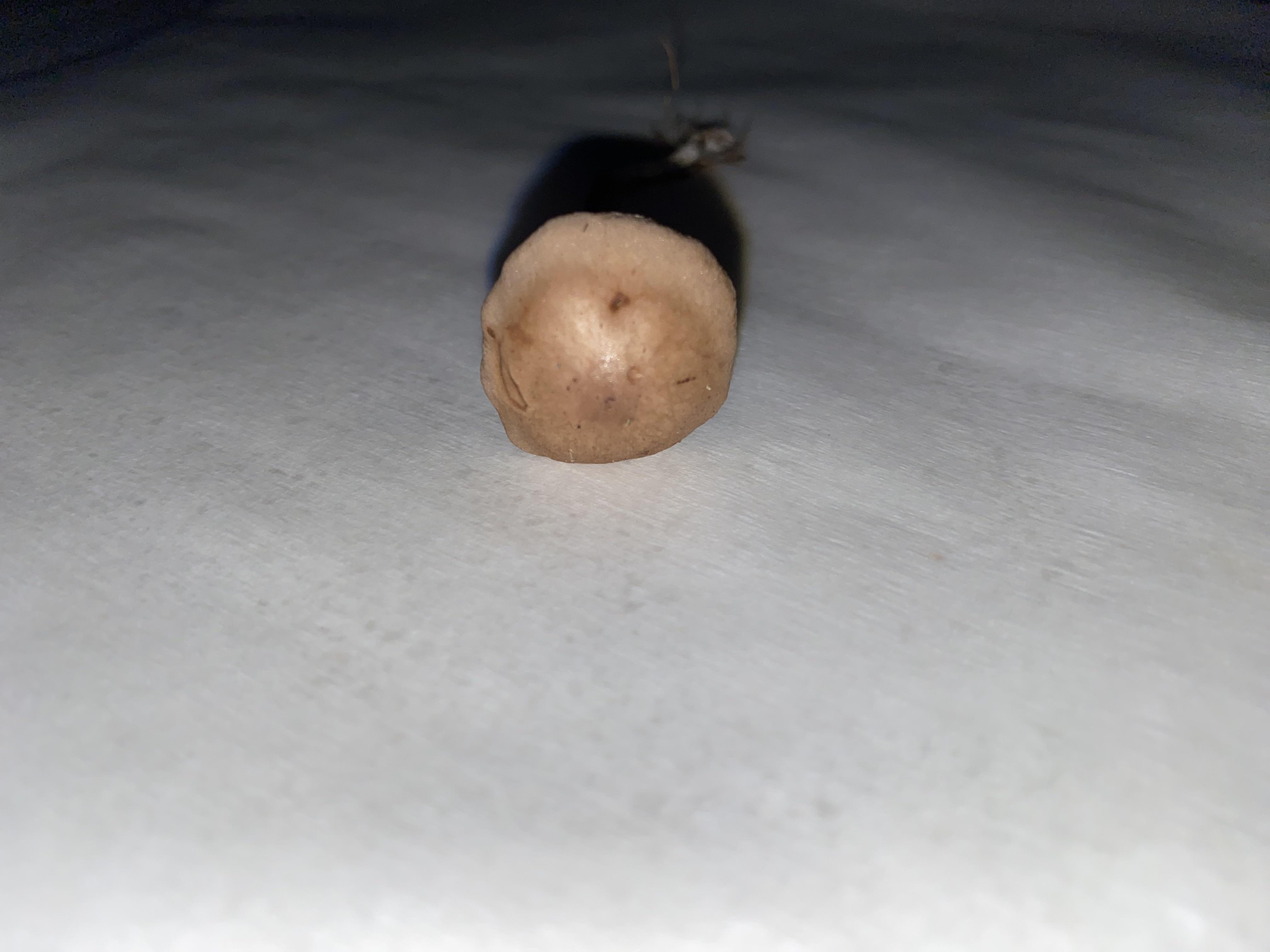 What Are These/Are These Safe? | Scrolller