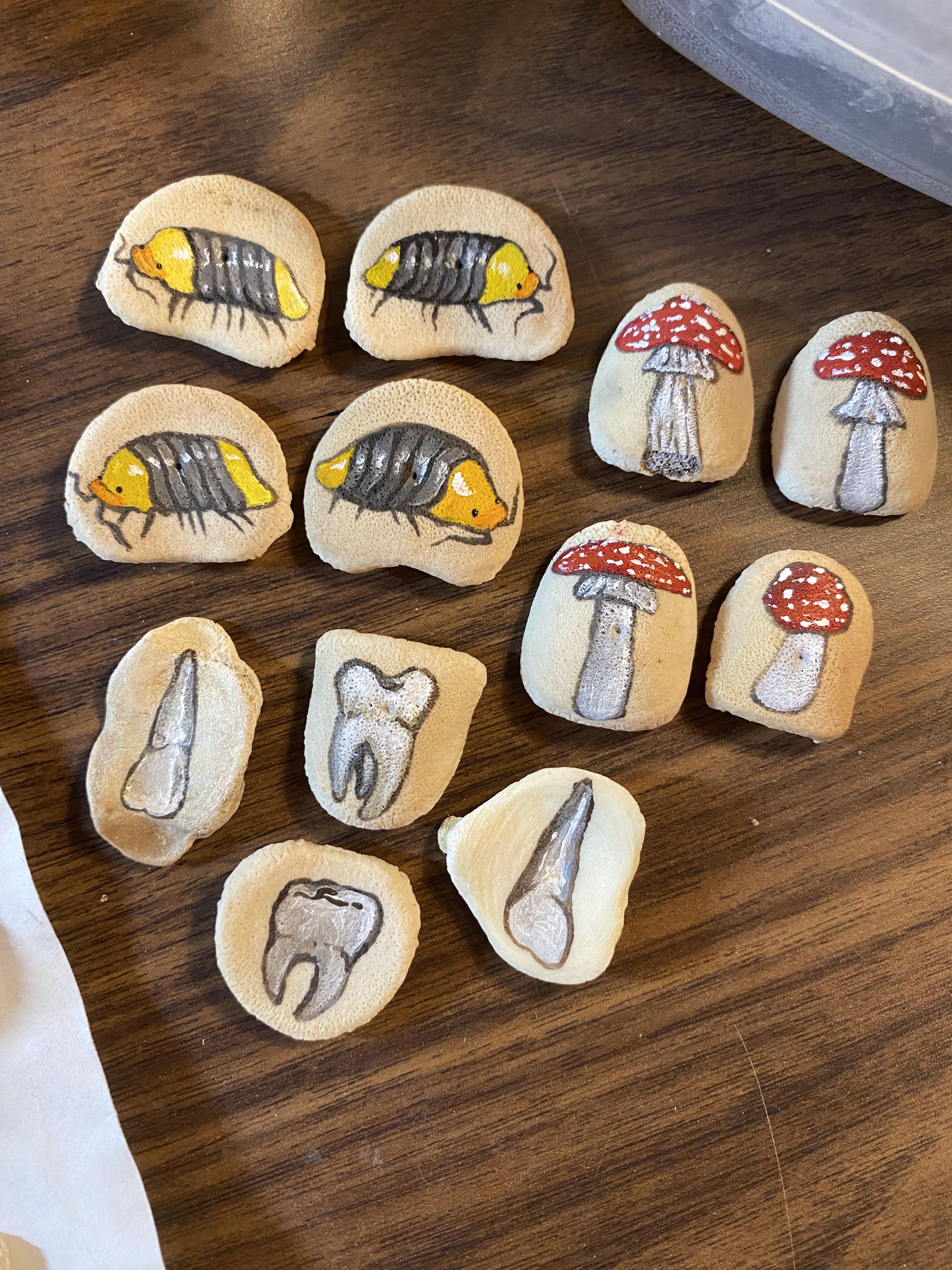 Animal Knee Cap Pins | Scrolller