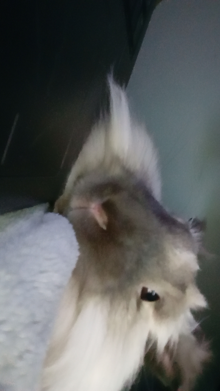 Stewart has some stuff in his ear | Scrolller