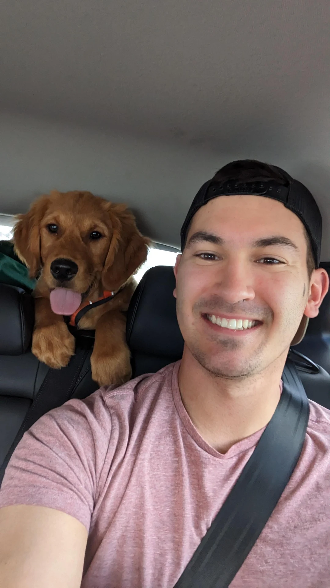 Happy pupper | Scrolller