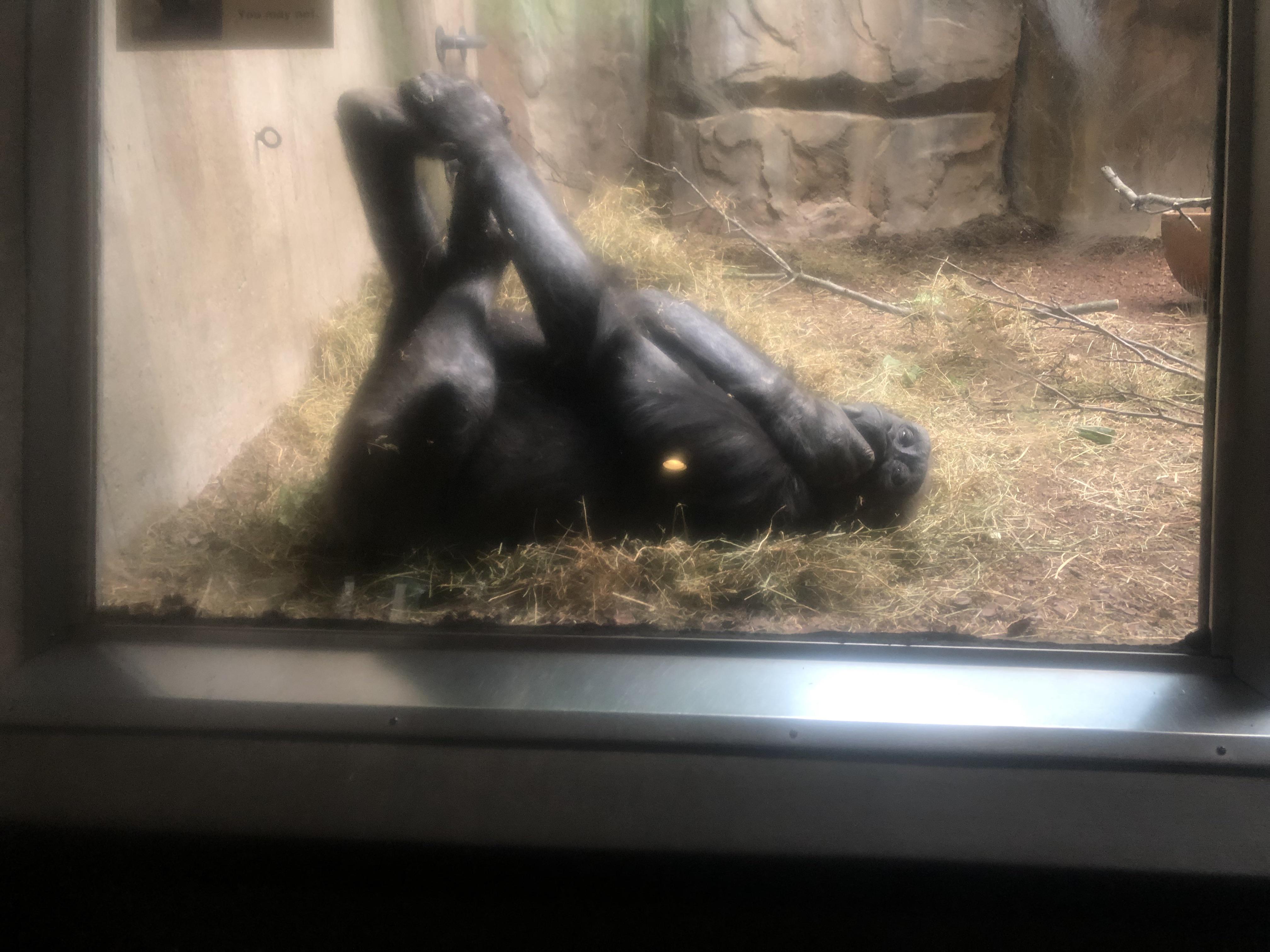 Zen Like Him. I Like The Stock! | Scrolller