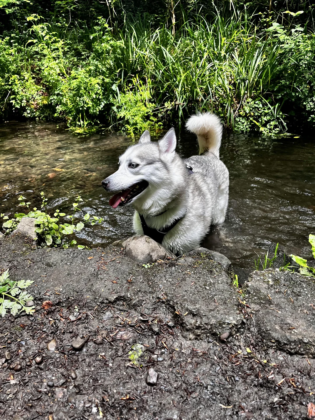 Cooling off | Scrolller