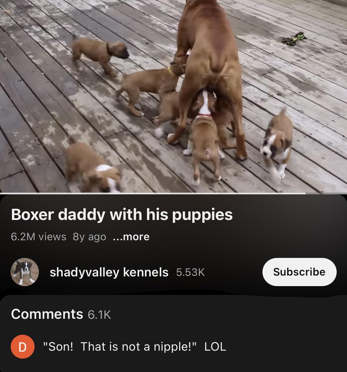 Cursed_Nipple | Scrolller