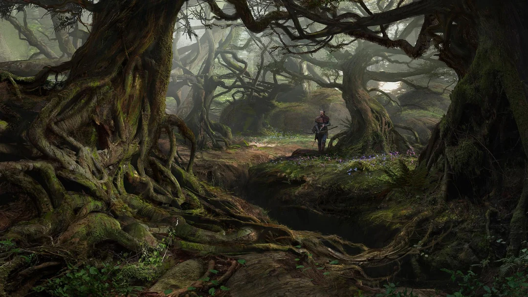 Forest environment concept by artist Sergey Vasnev | Scrolller