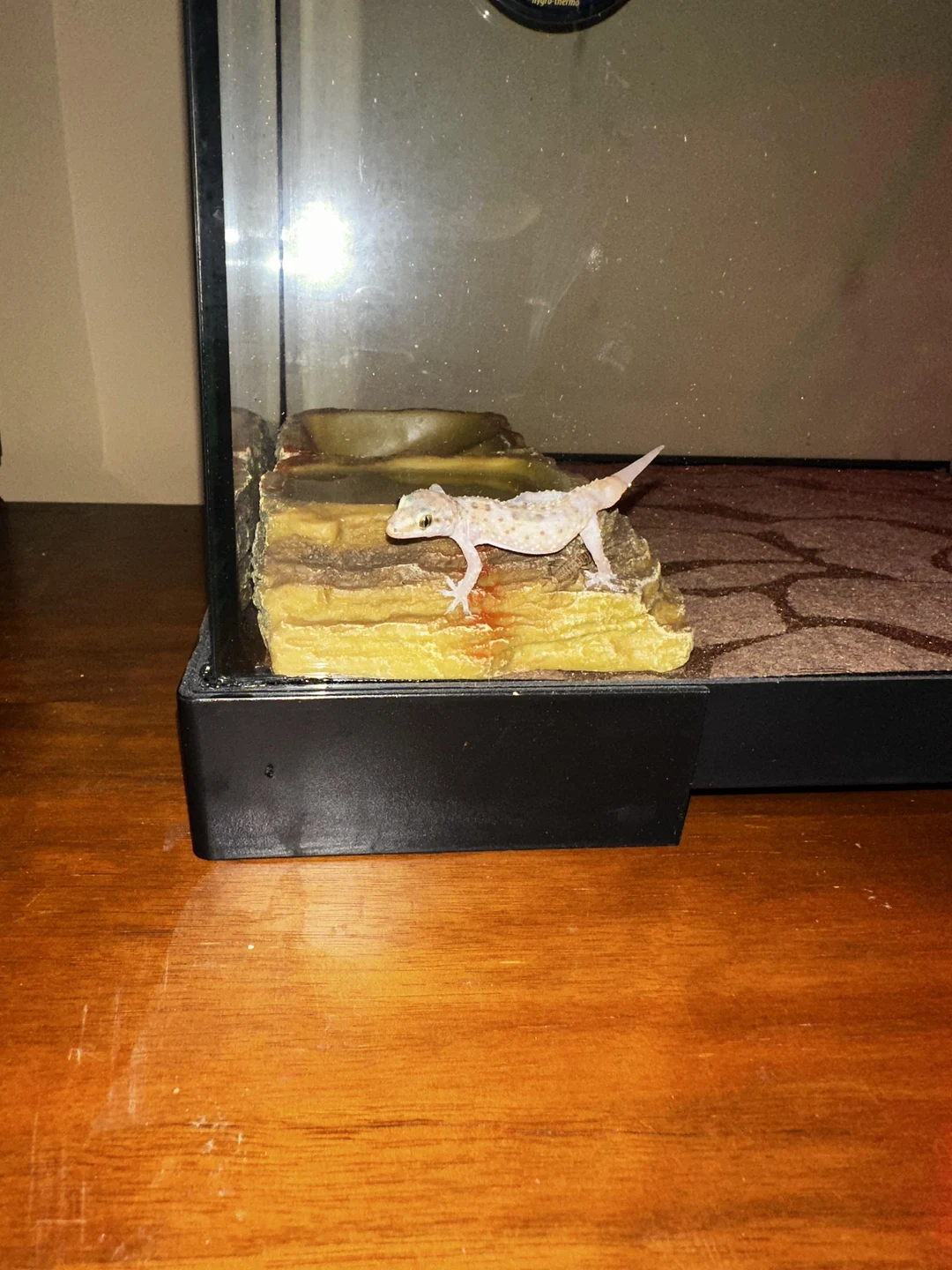 New rescue | Scrolller