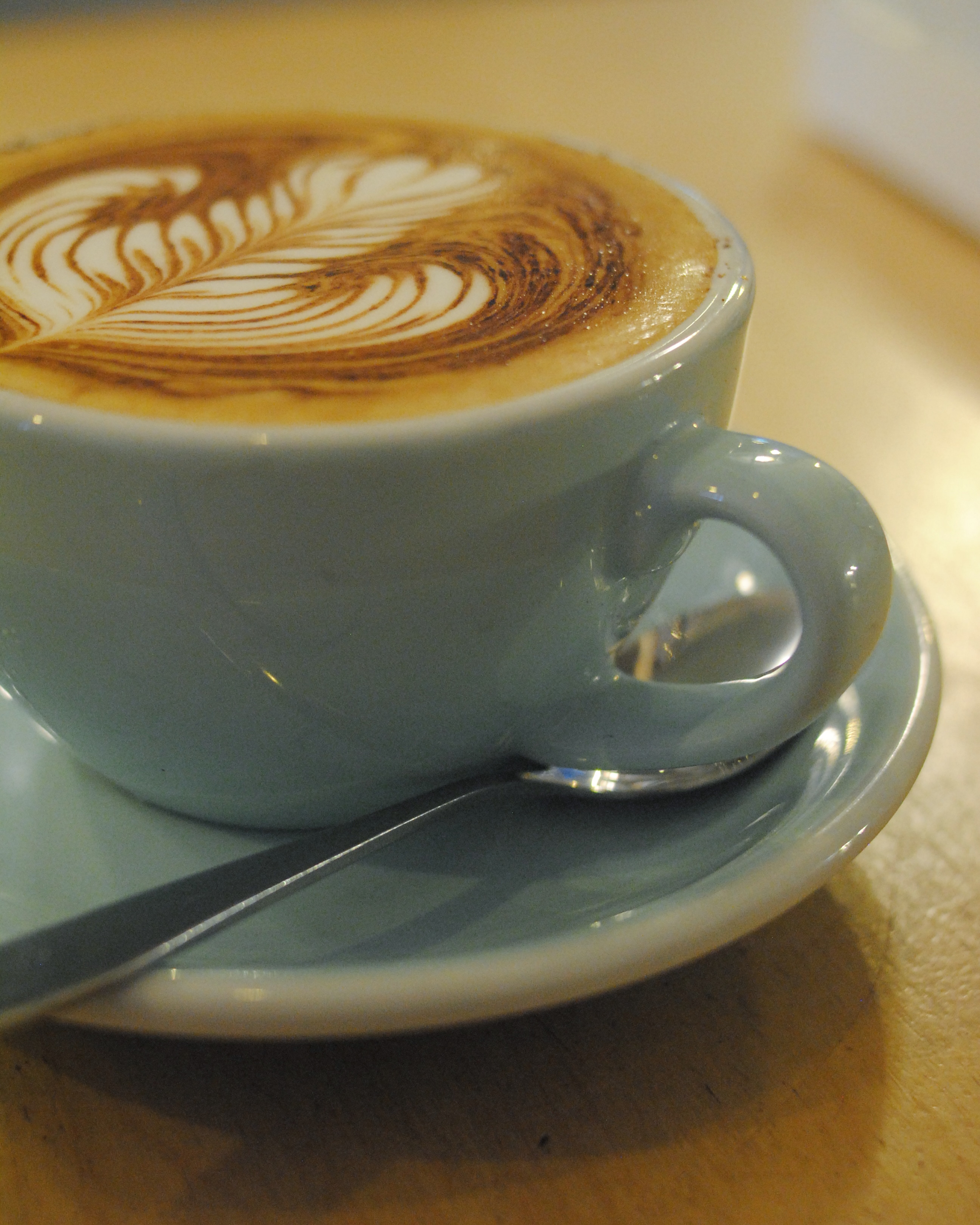 A tidy rosetta from a few days ago. | Scrolller