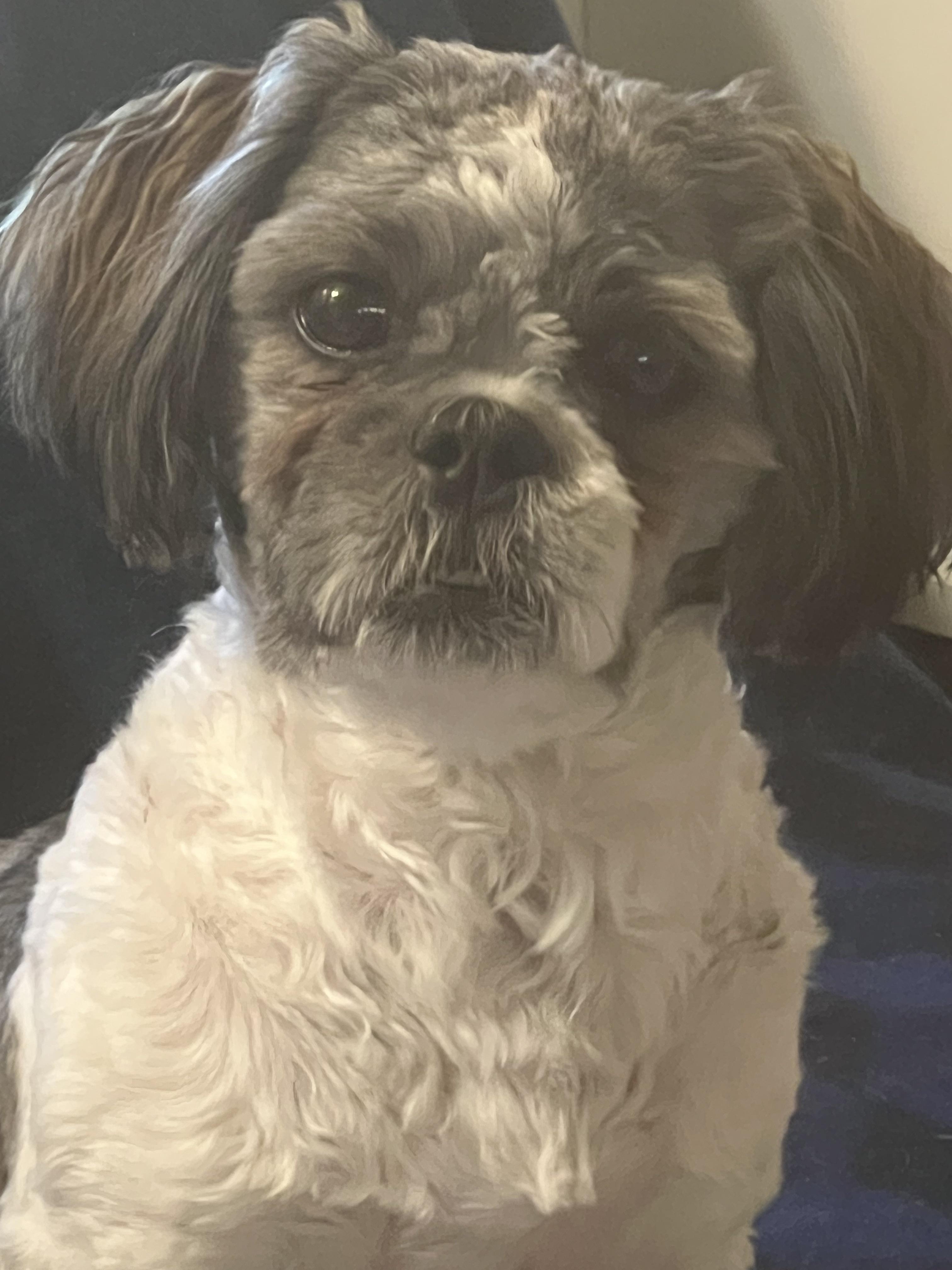The Face Of Innocence Scrolller