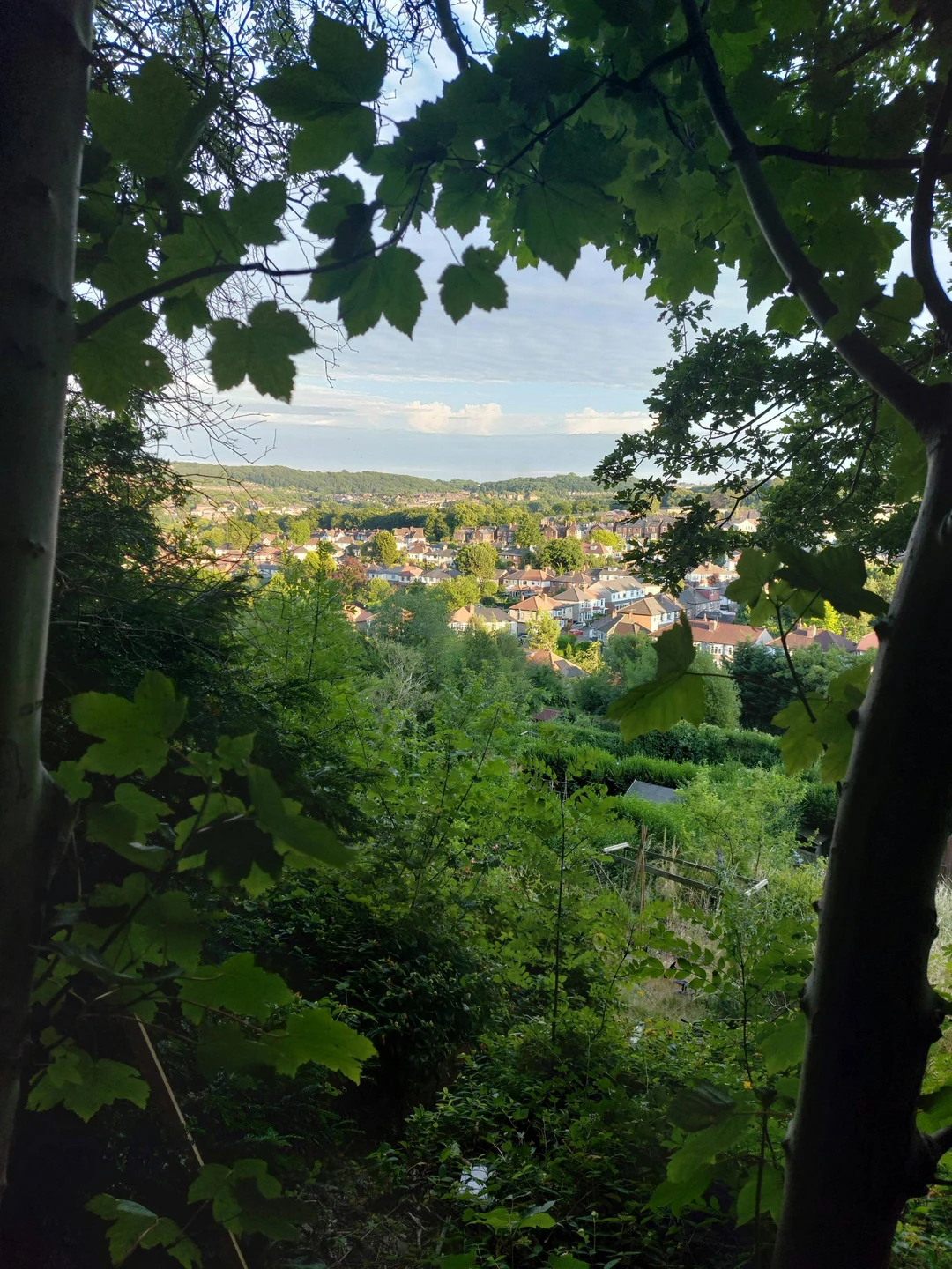 Sheffield UK | Scrolller