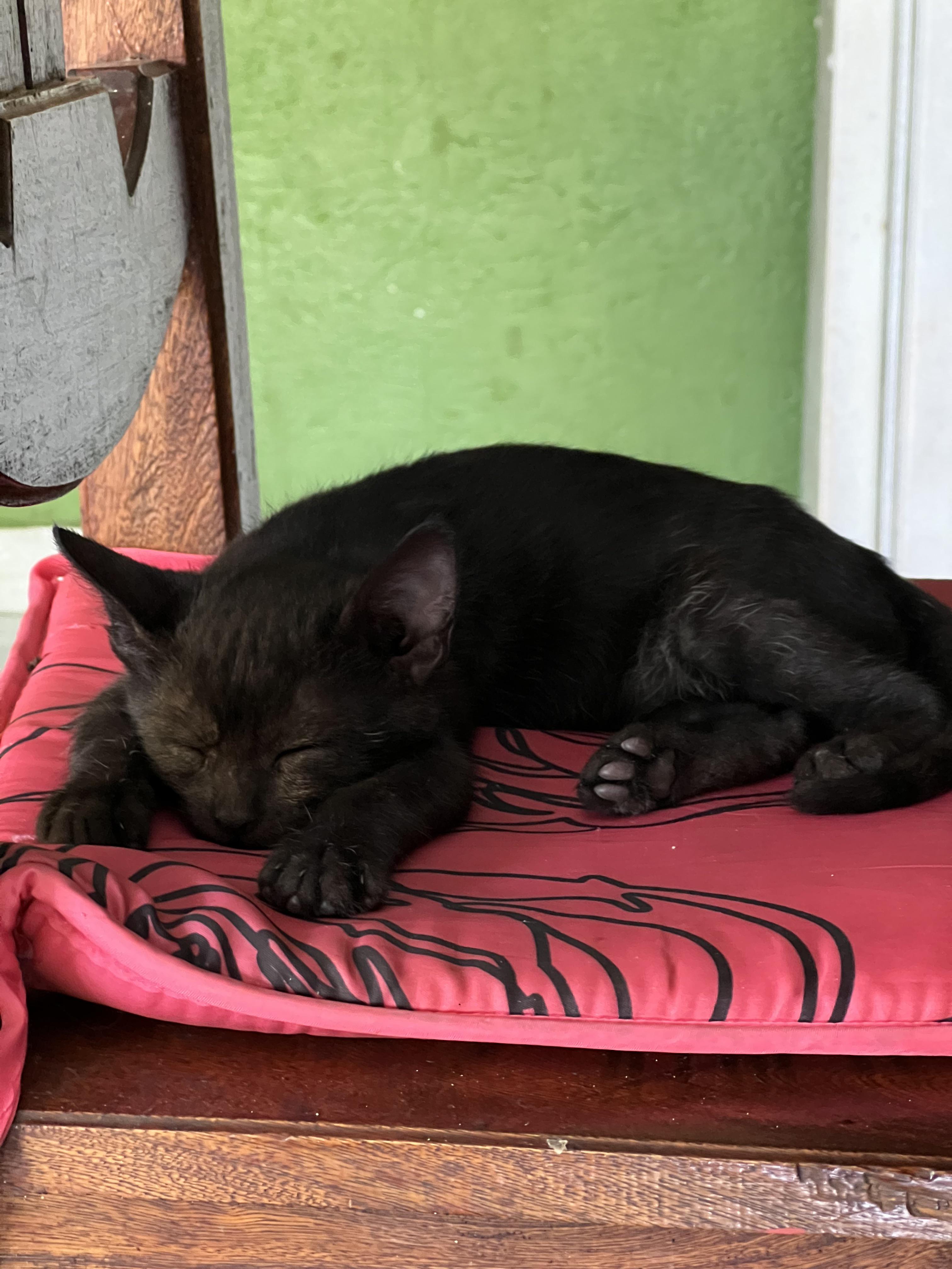 WARNING: visible void beans | Scrolller