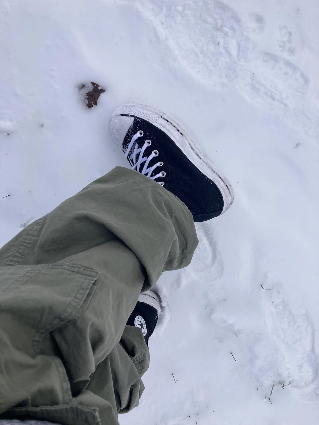 Snowy ️ | Scrolller