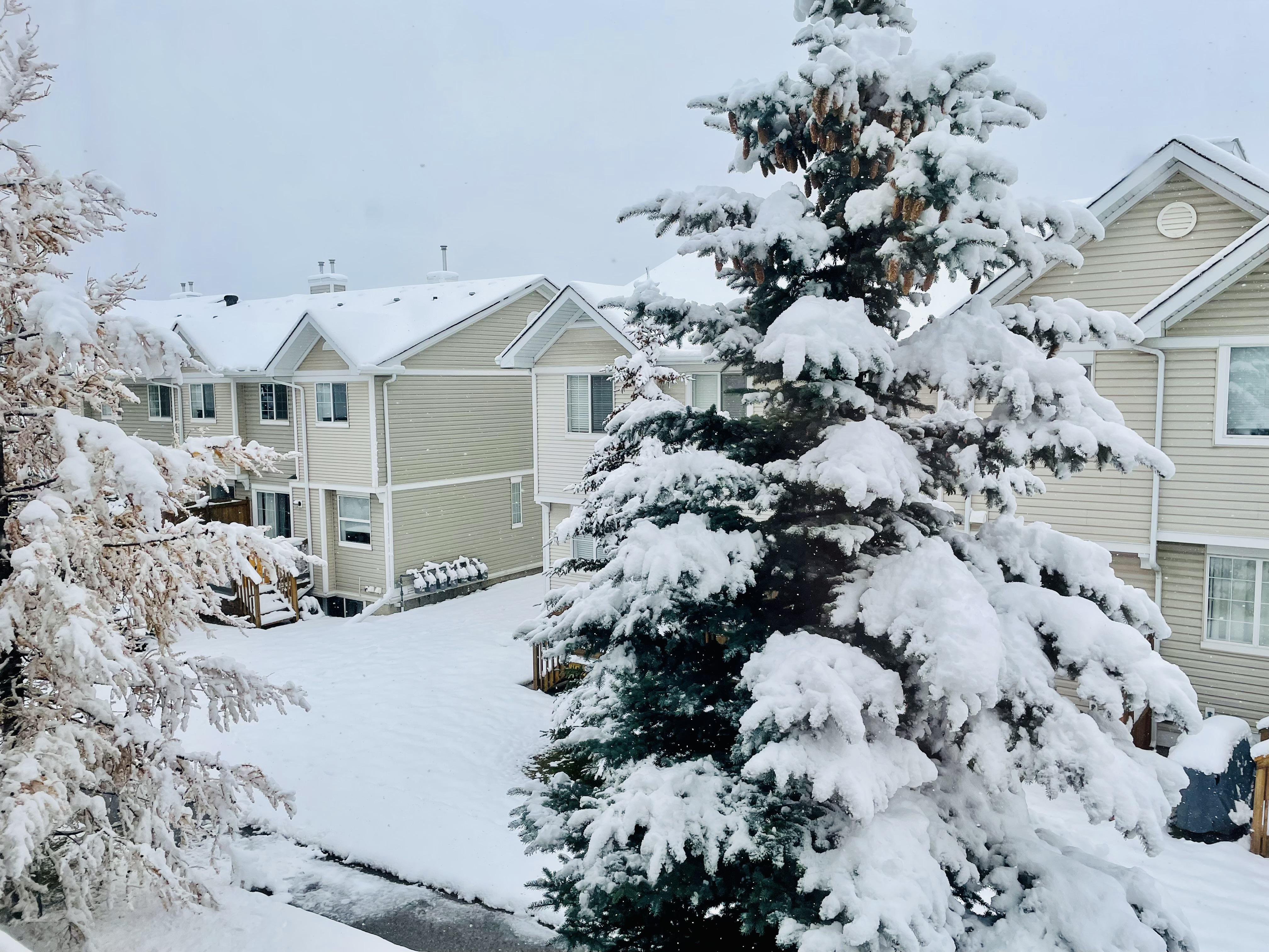 Calgary, Canada 🍁 | Scrolller