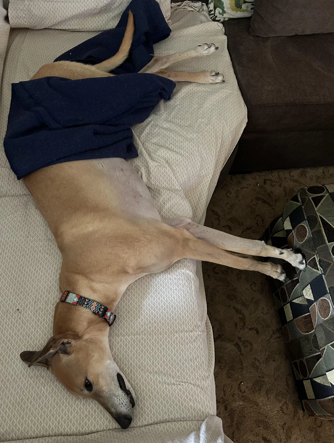 Bracing for potential bed fail impact! | Scrolller