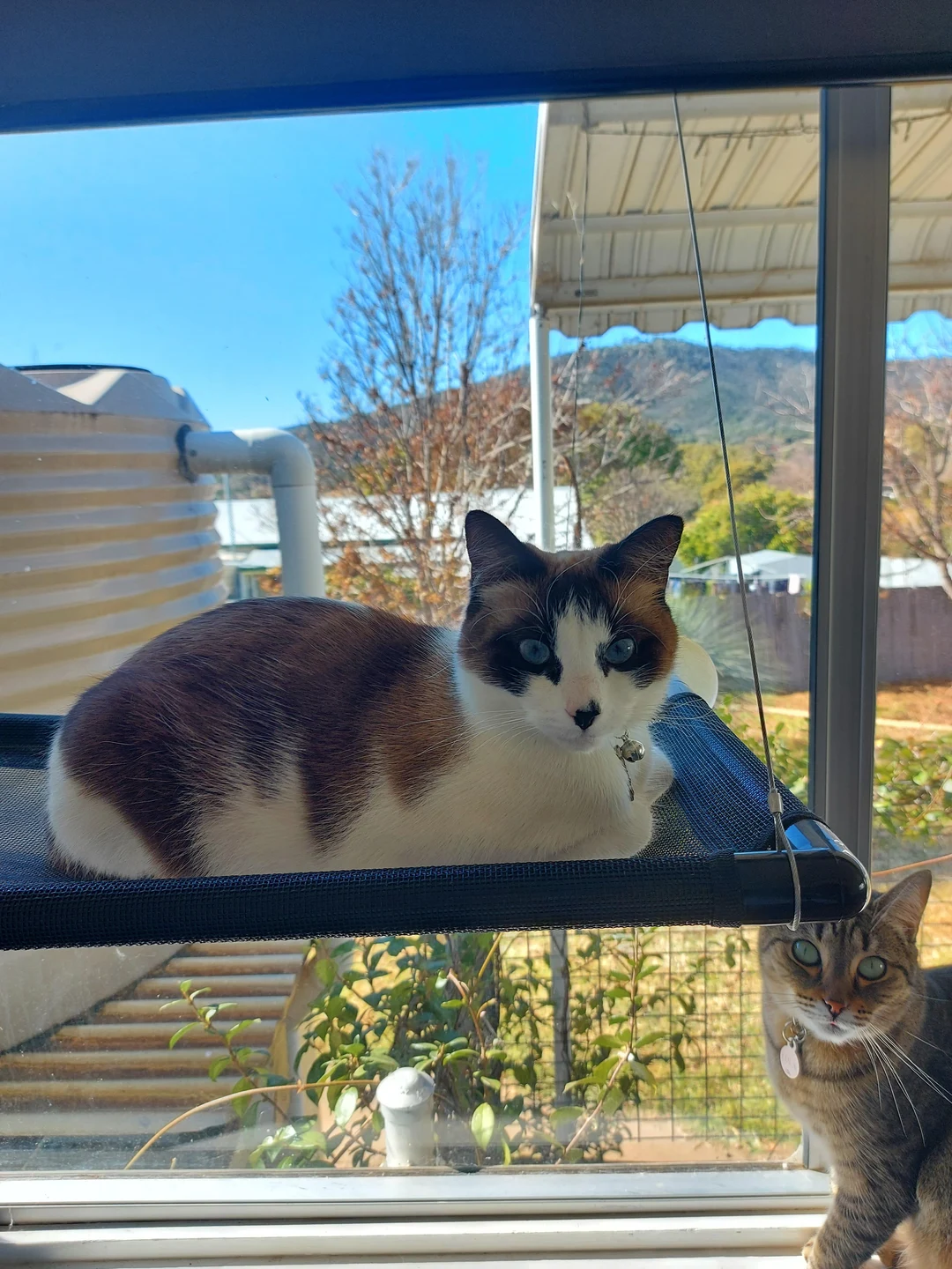 Sun-baked loaf with a burnt crust and a doughy belly | Scrolller