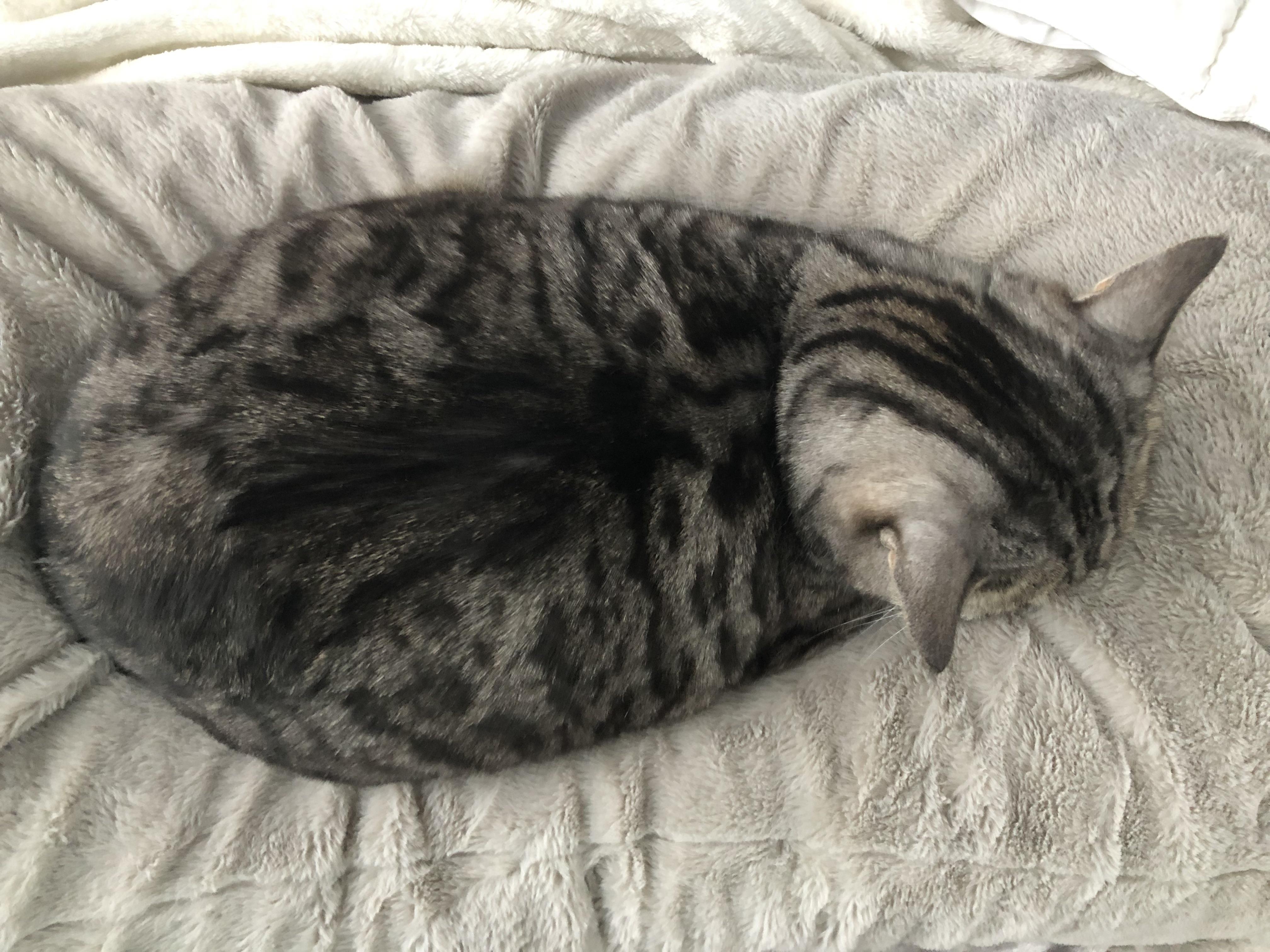 Homemade | Scrolller