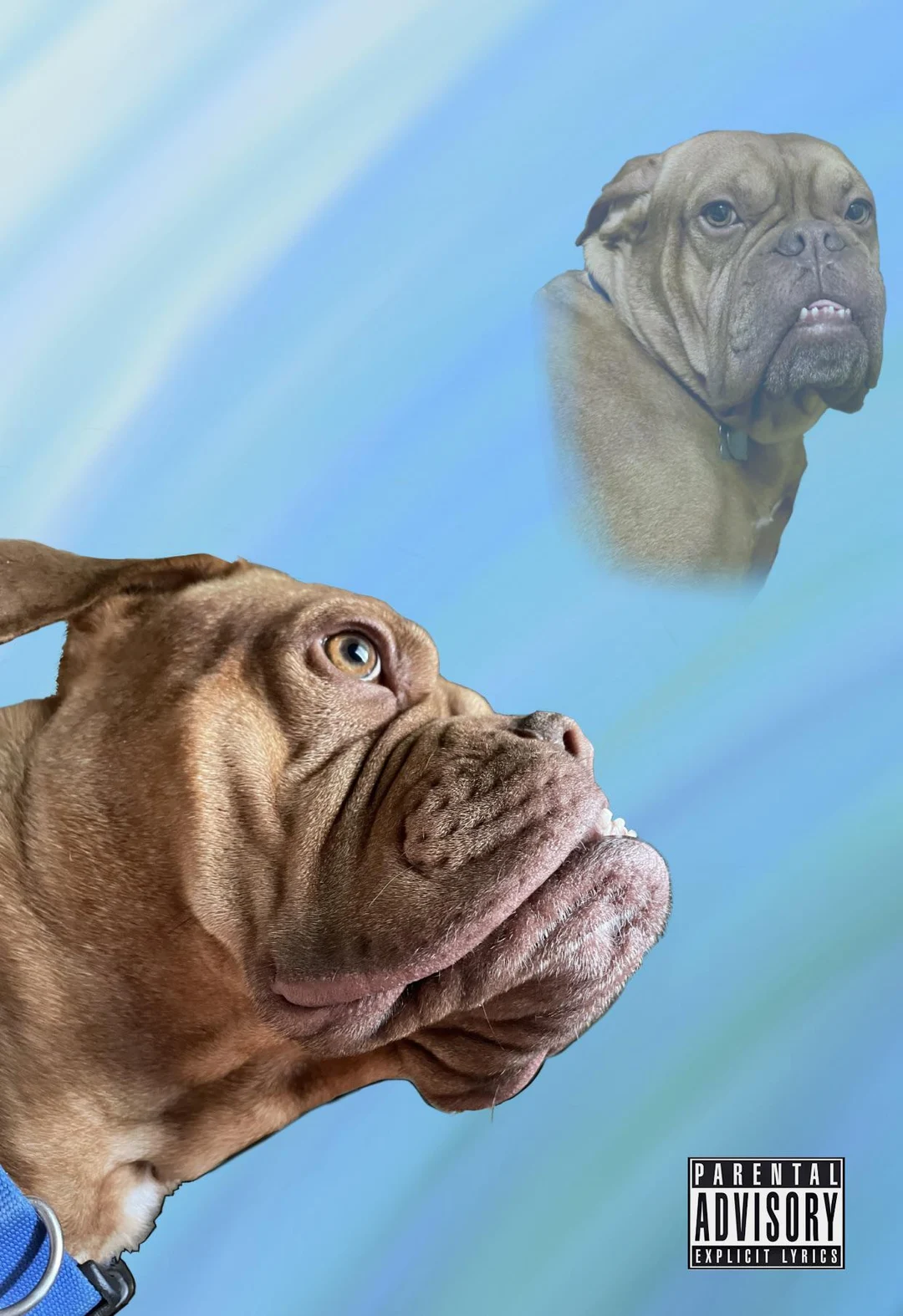 Album cover of my Wolf | Scrolller