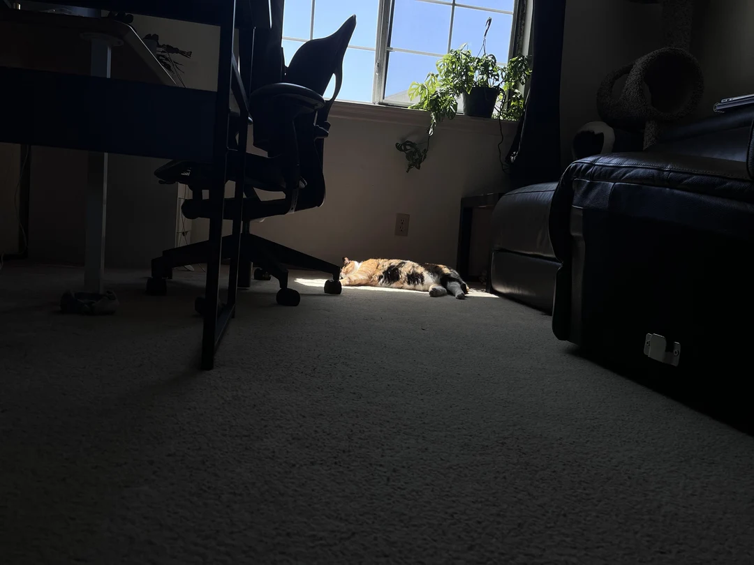 Solar powered traps is where it’s at | Scrolller