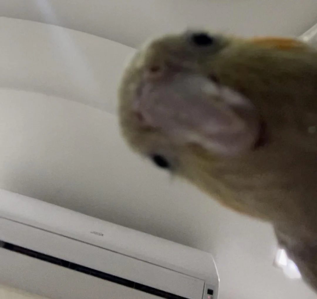 You got seed? | Scrolller