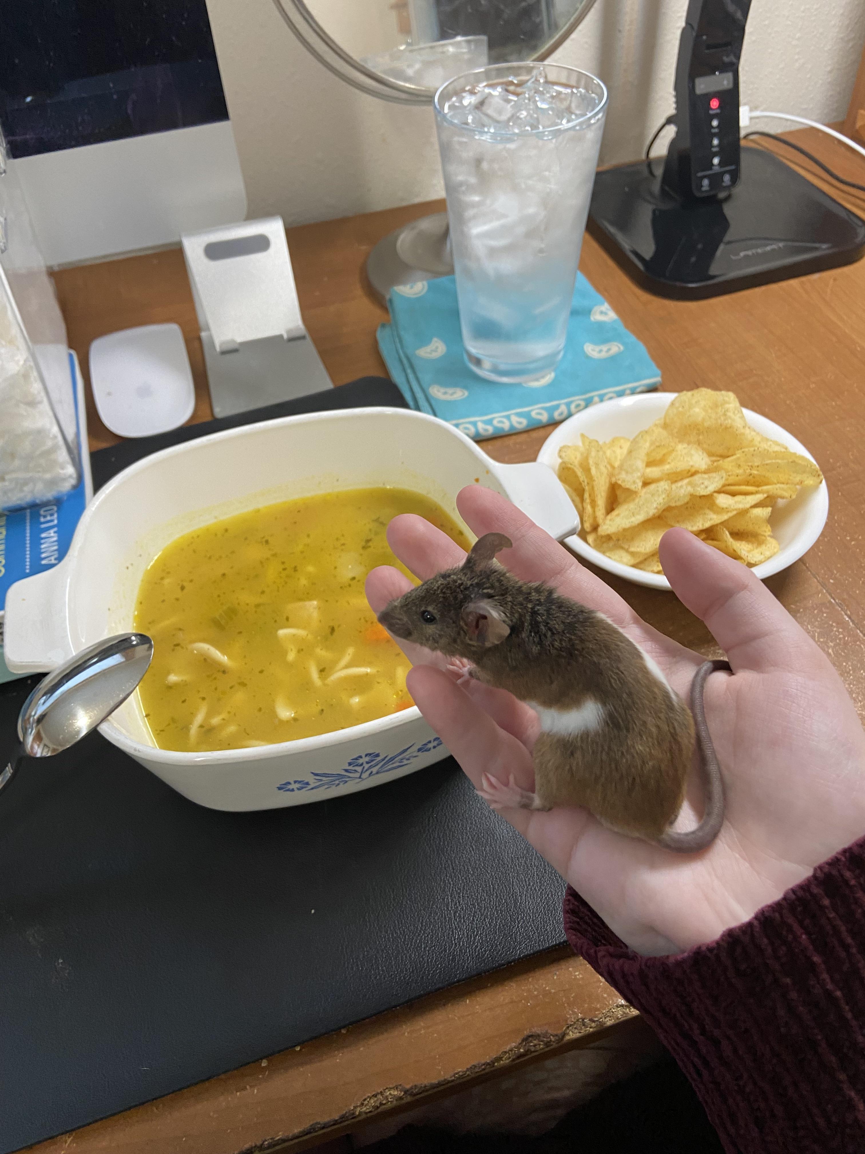 Lunchtime with my son :) | Scrolller