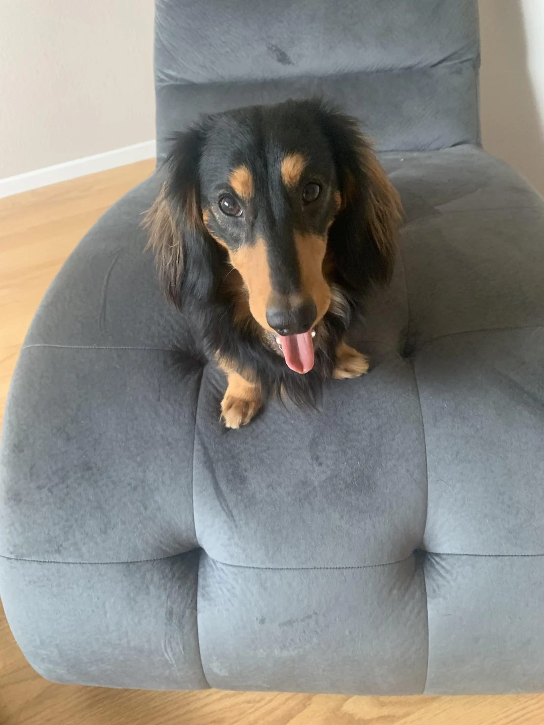 Coco puff! | Scrolller