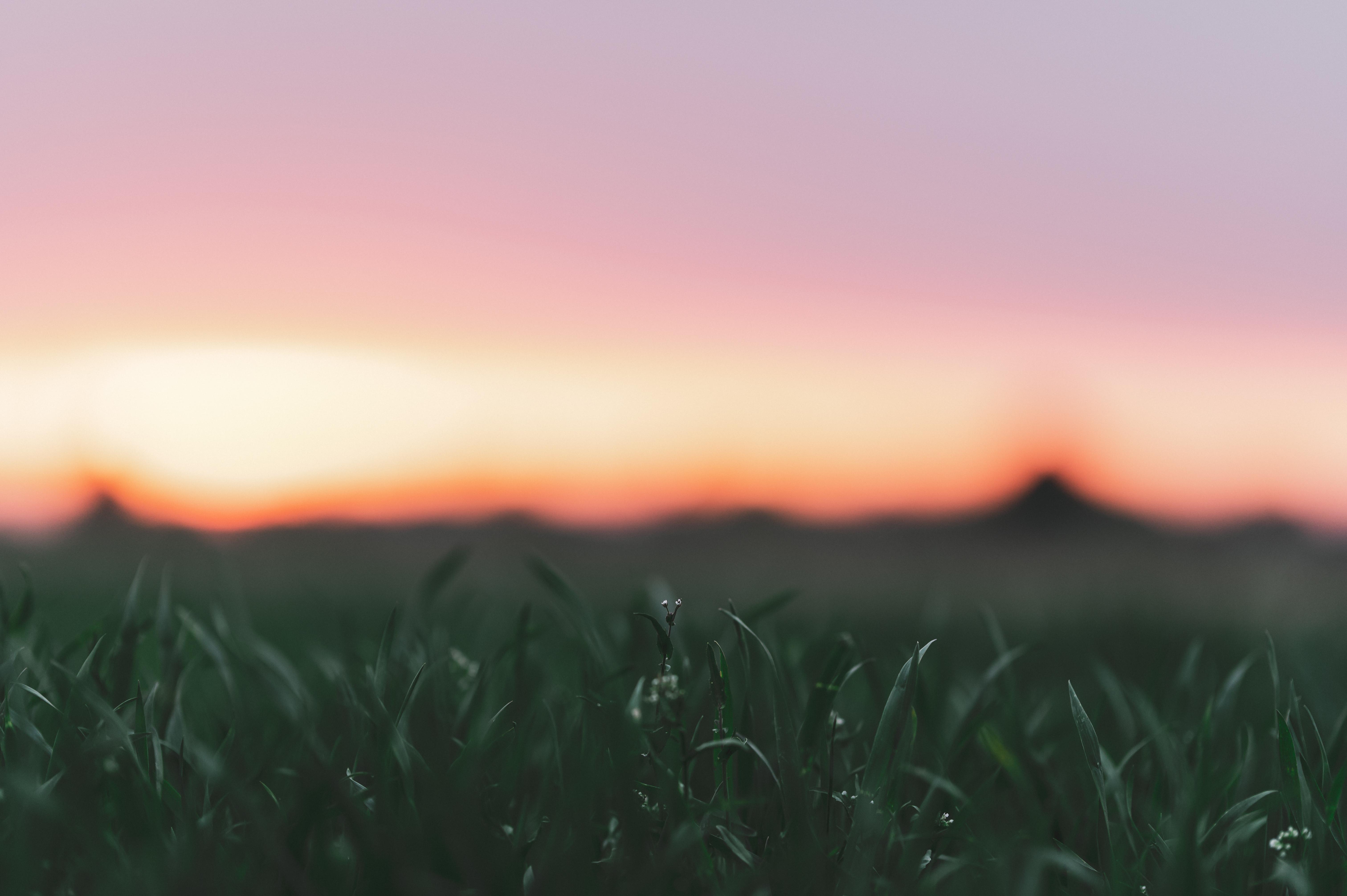 Sunset Gradient | Scrolller