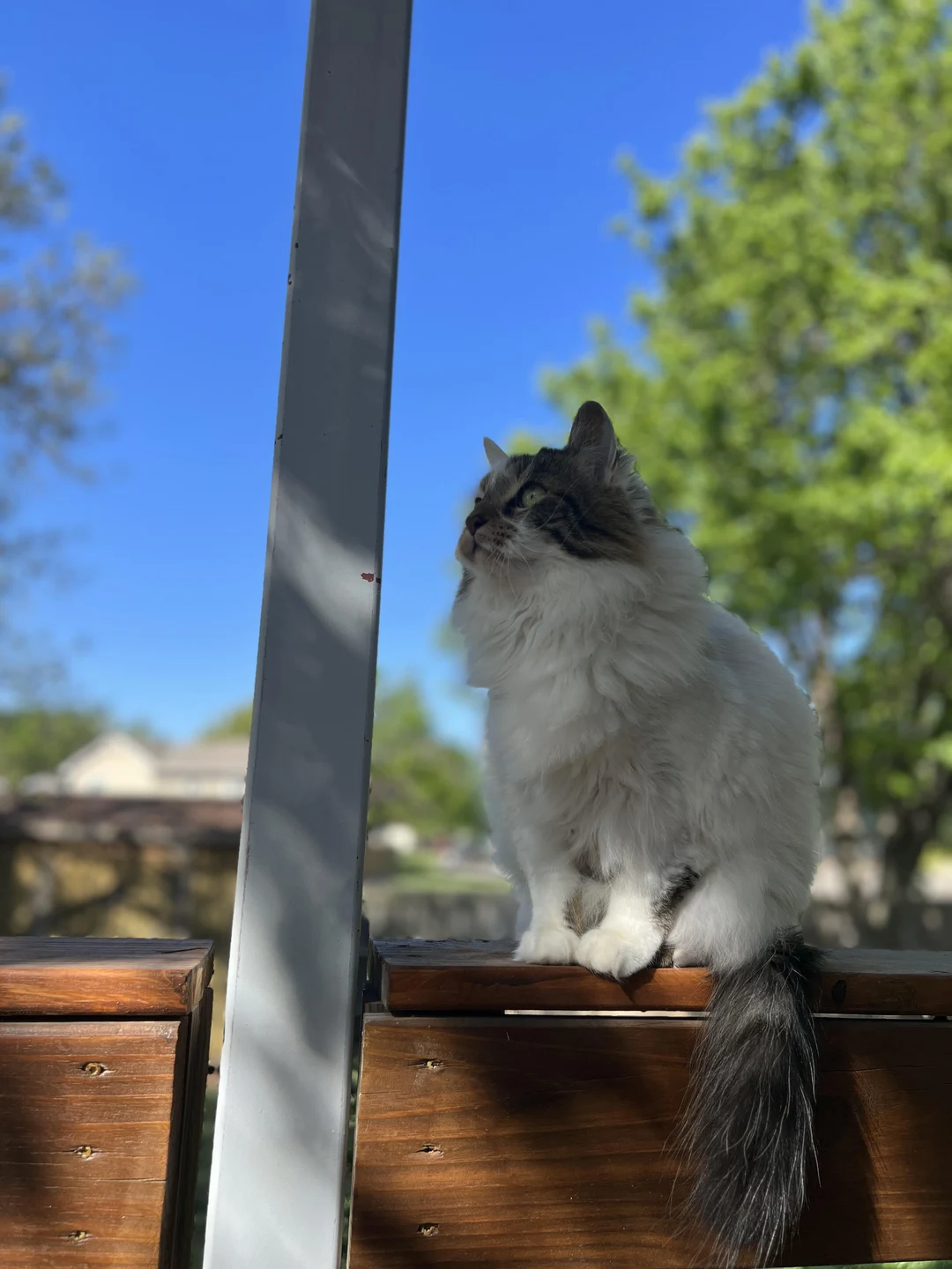 Bird watching | Scrolller