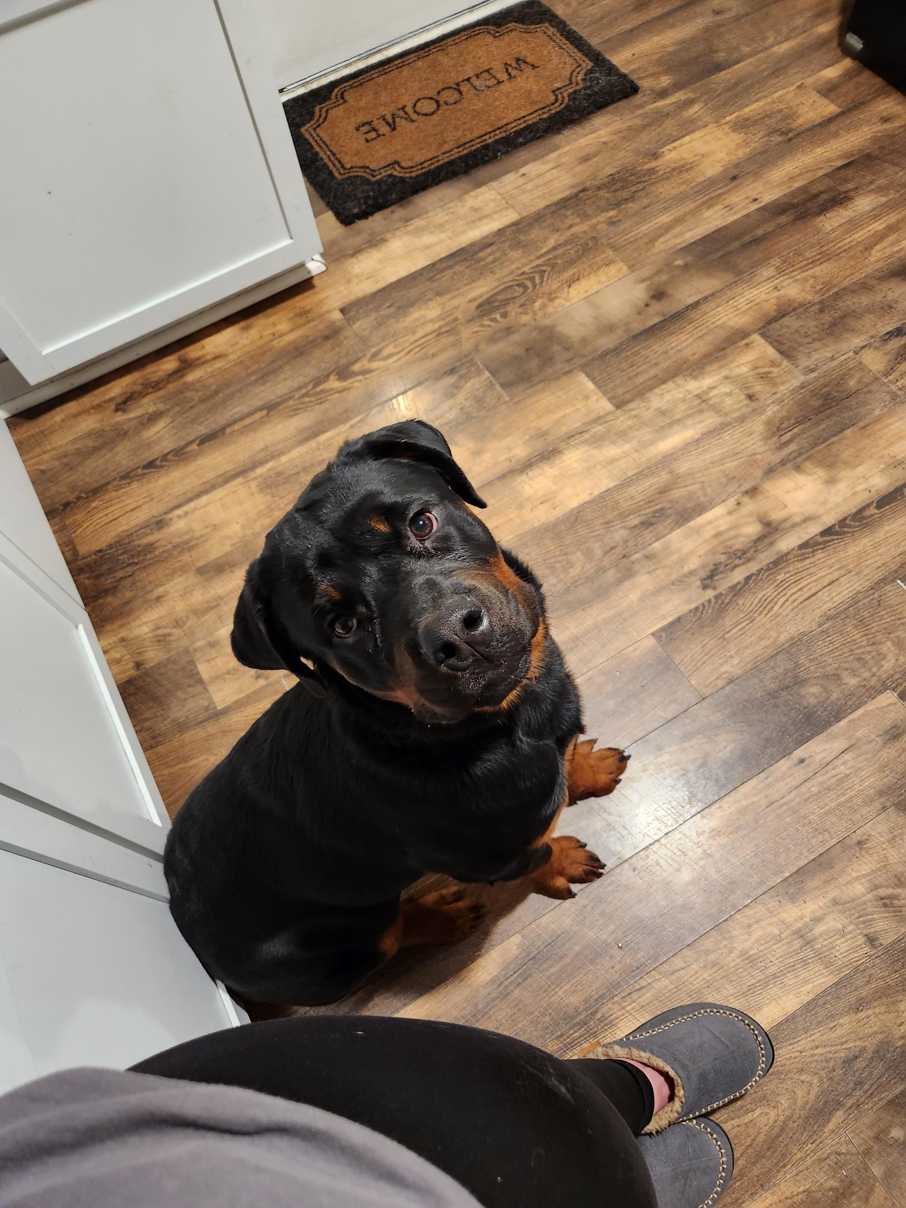 A very handsome stubborn asshole he's turning into | Scrolller