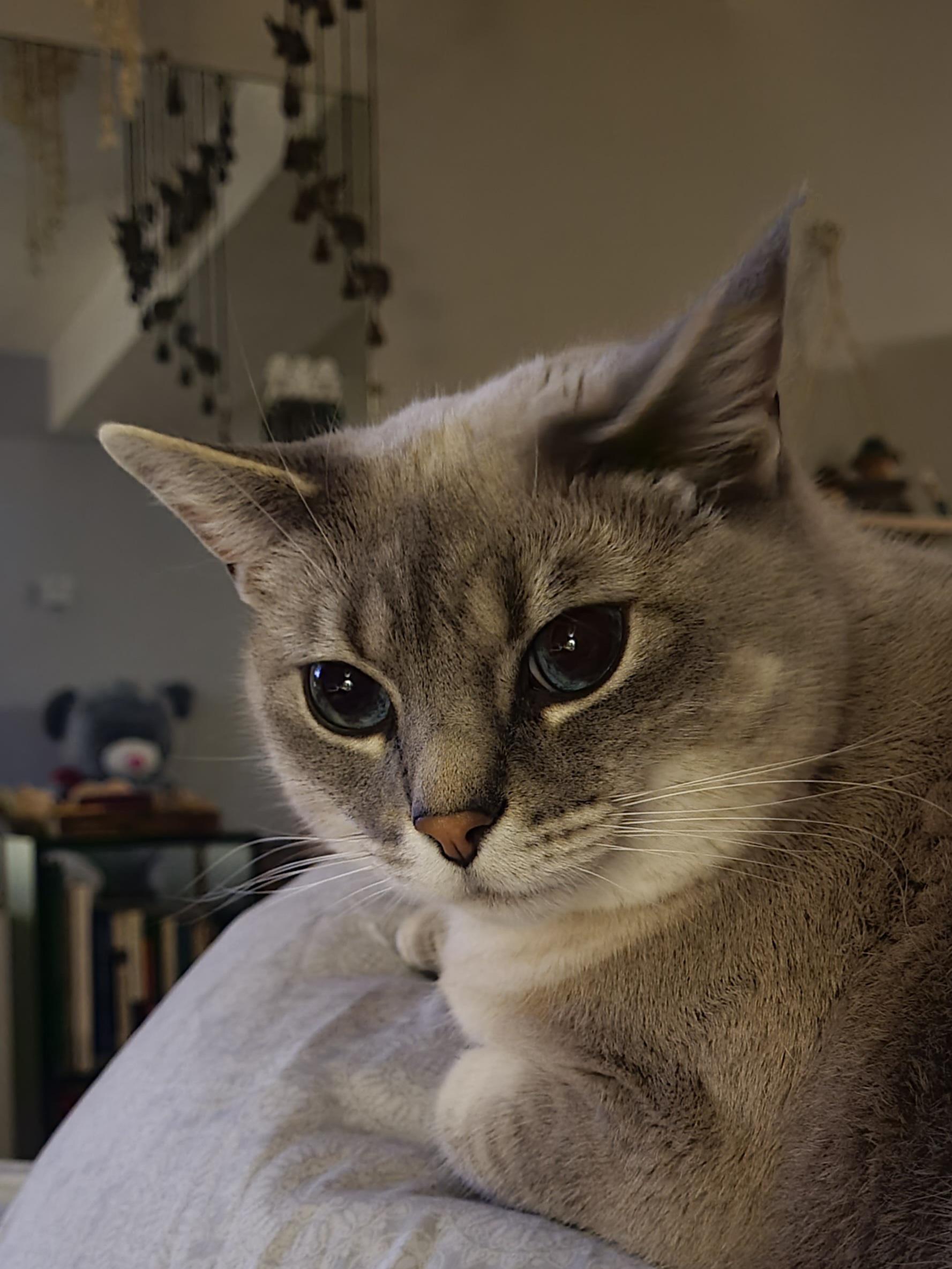 A very handsome gentleman | Scrolller