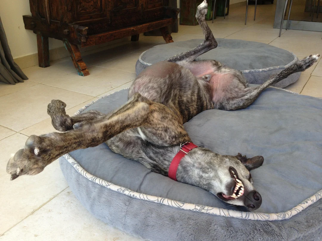 Mallory in his comfort zone | Scrolller