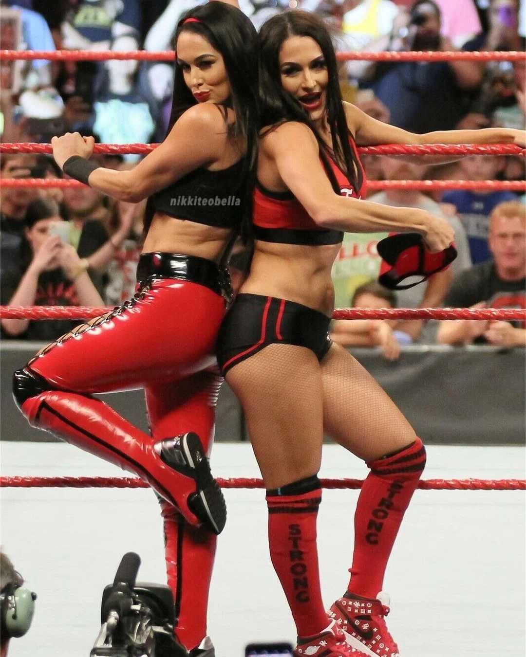 Bella Twins | Scrolller