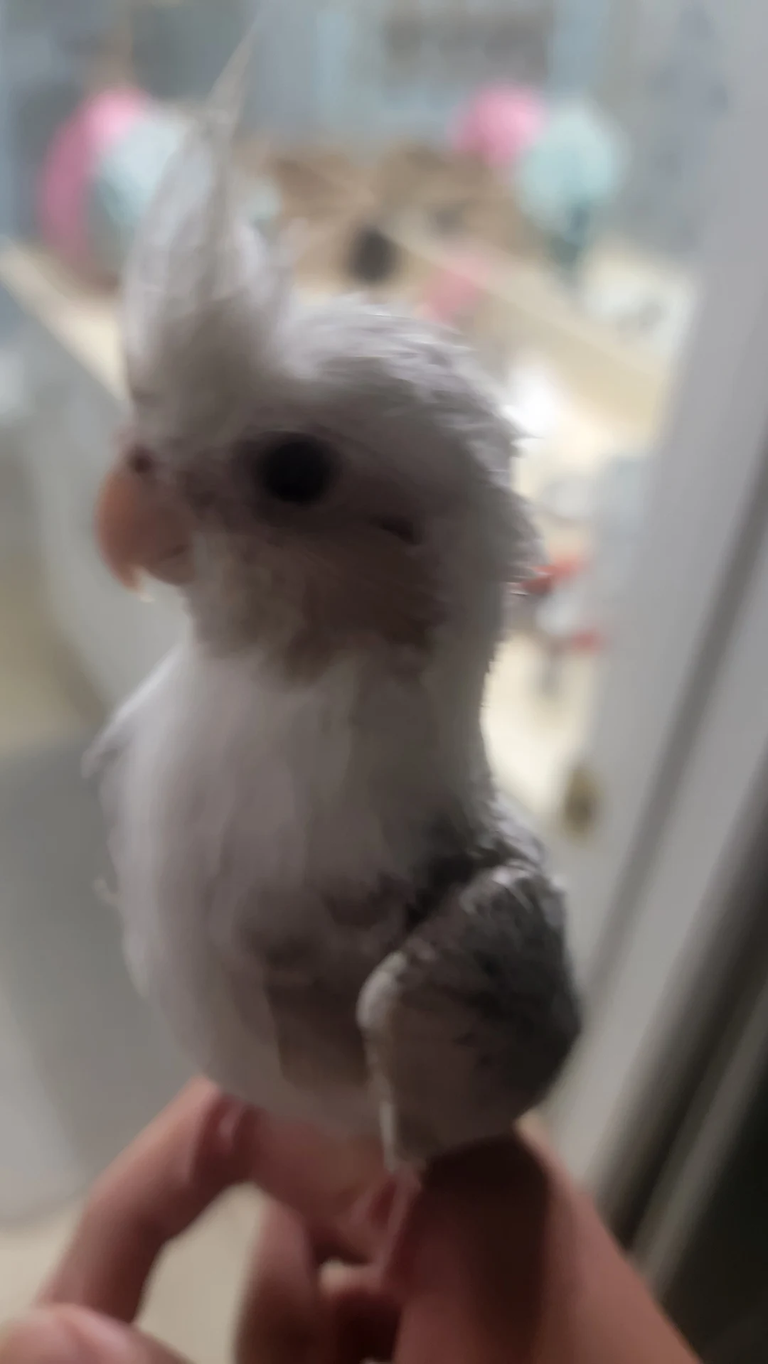 Baby's 1st bath! 😍 | Scrolller