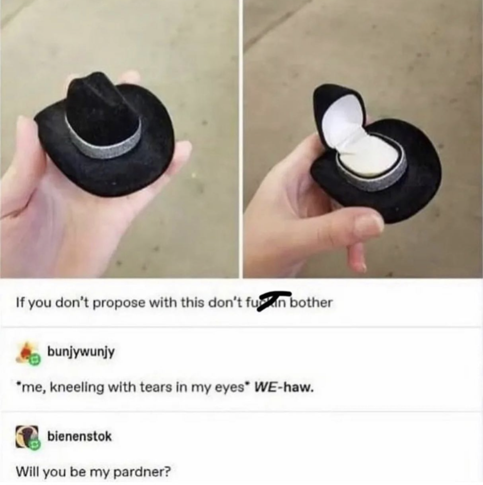 Bayou Proposal | Scrolller