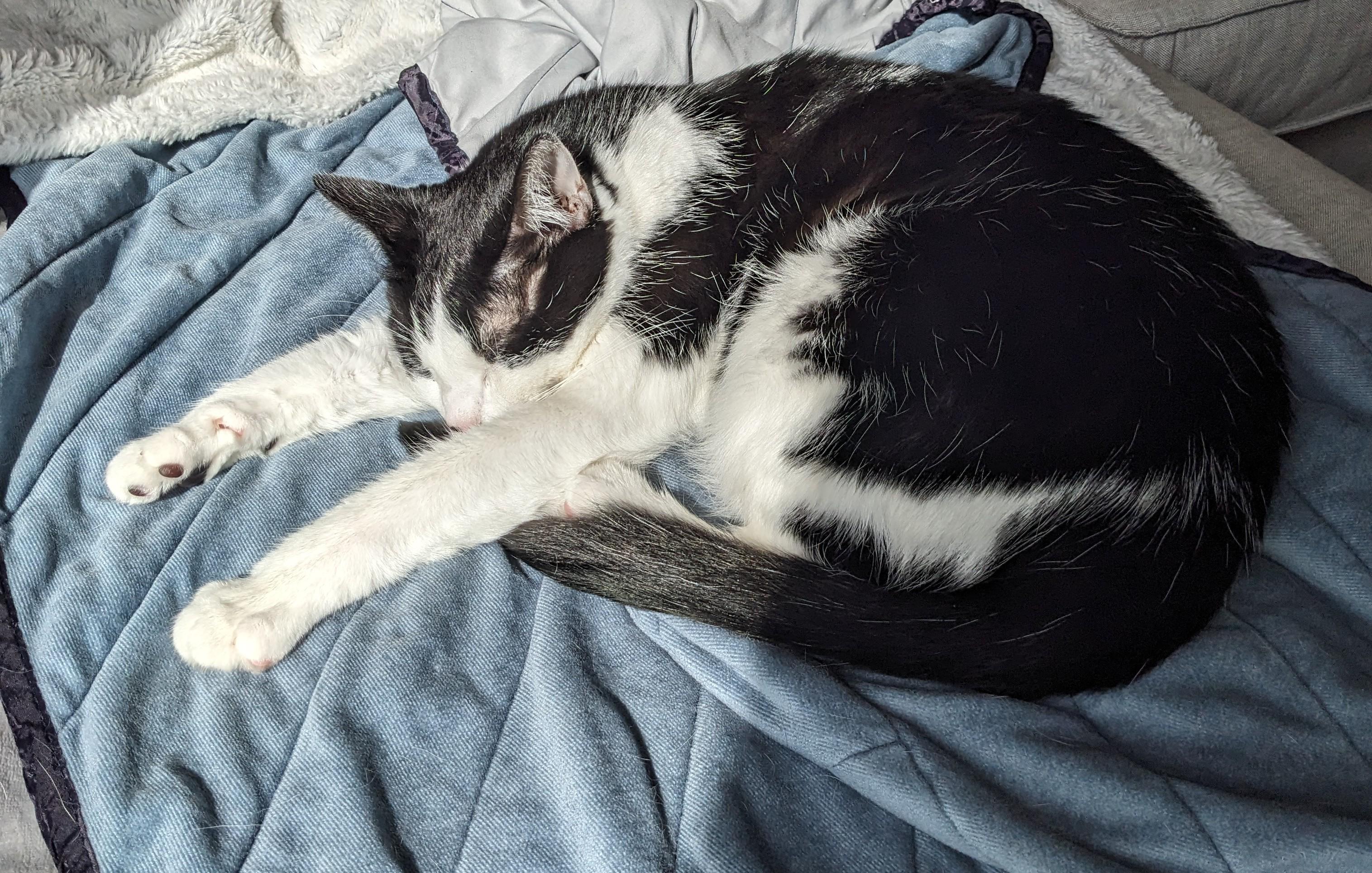 Basking in the sun | Scrolller