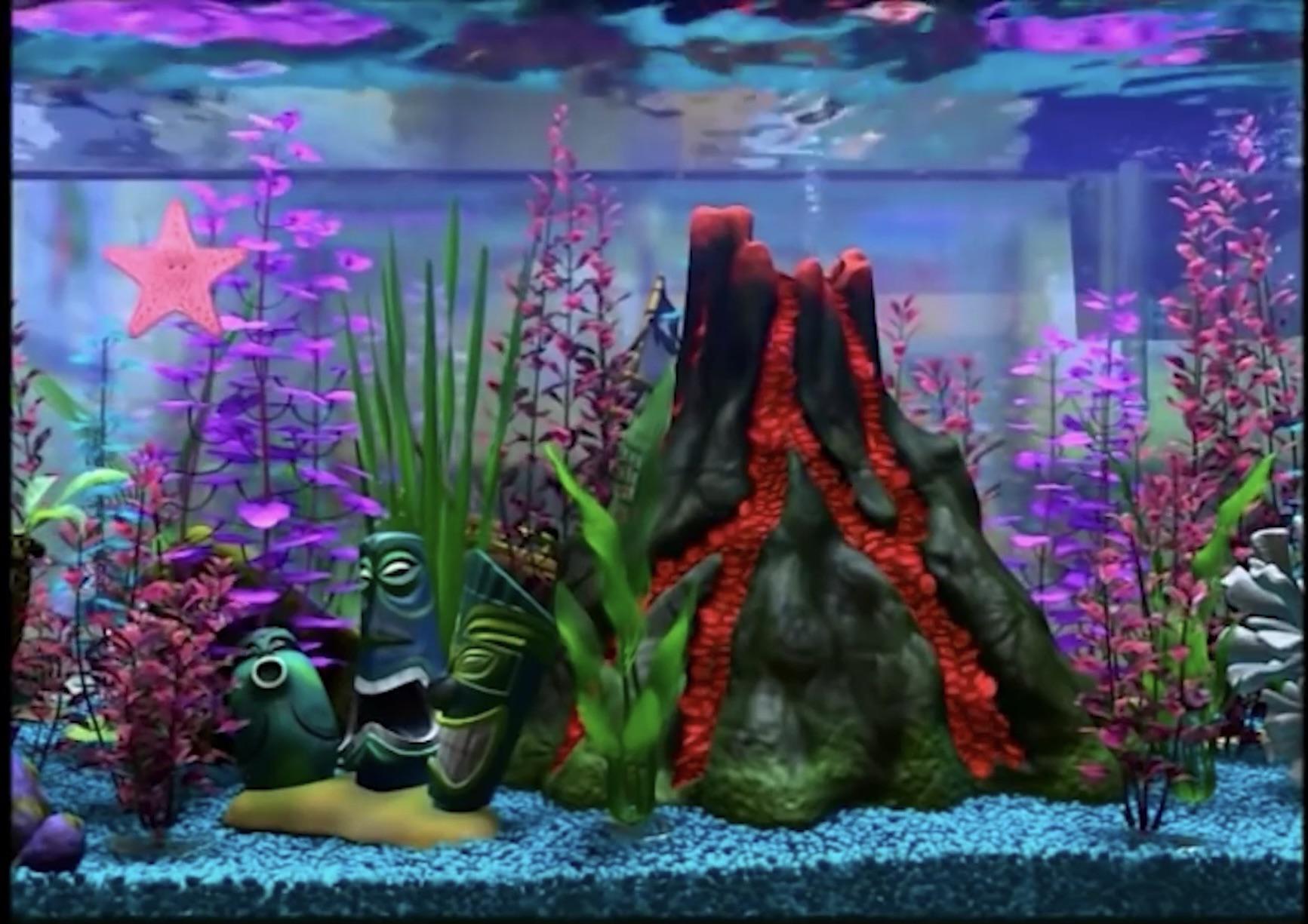 Can someone make a HD version of the Tank from Finding Nemo ? | Scrolller