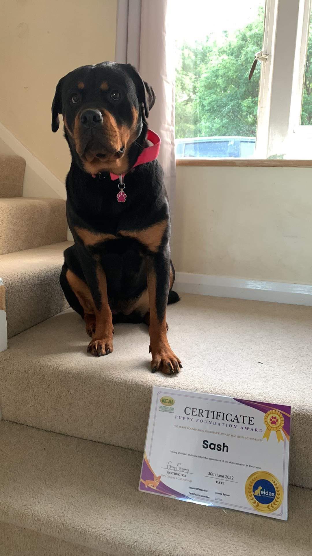 Puppy class.. completed it mate | Scrolller