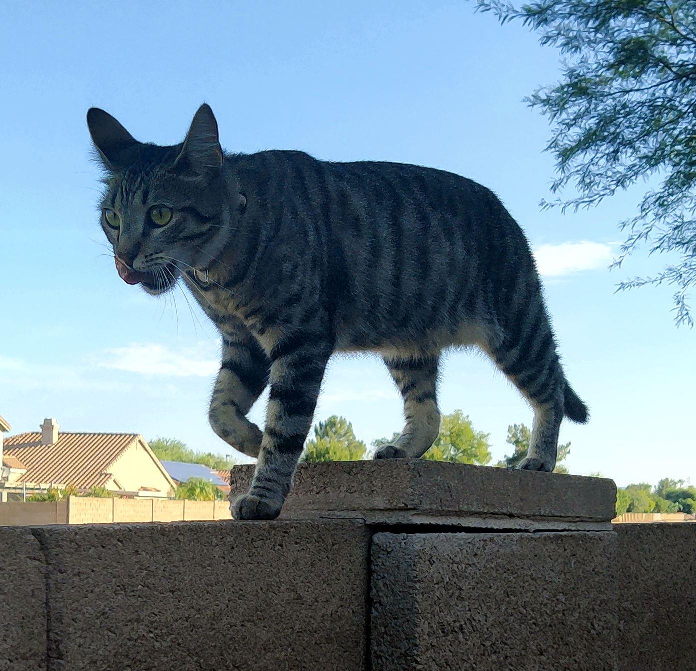 She has a snack in her sights. | Scrolller