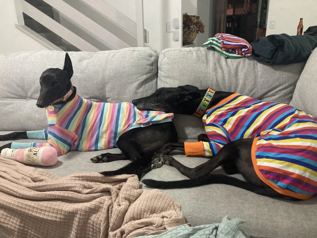 My favorite double rainbow | Scrolller