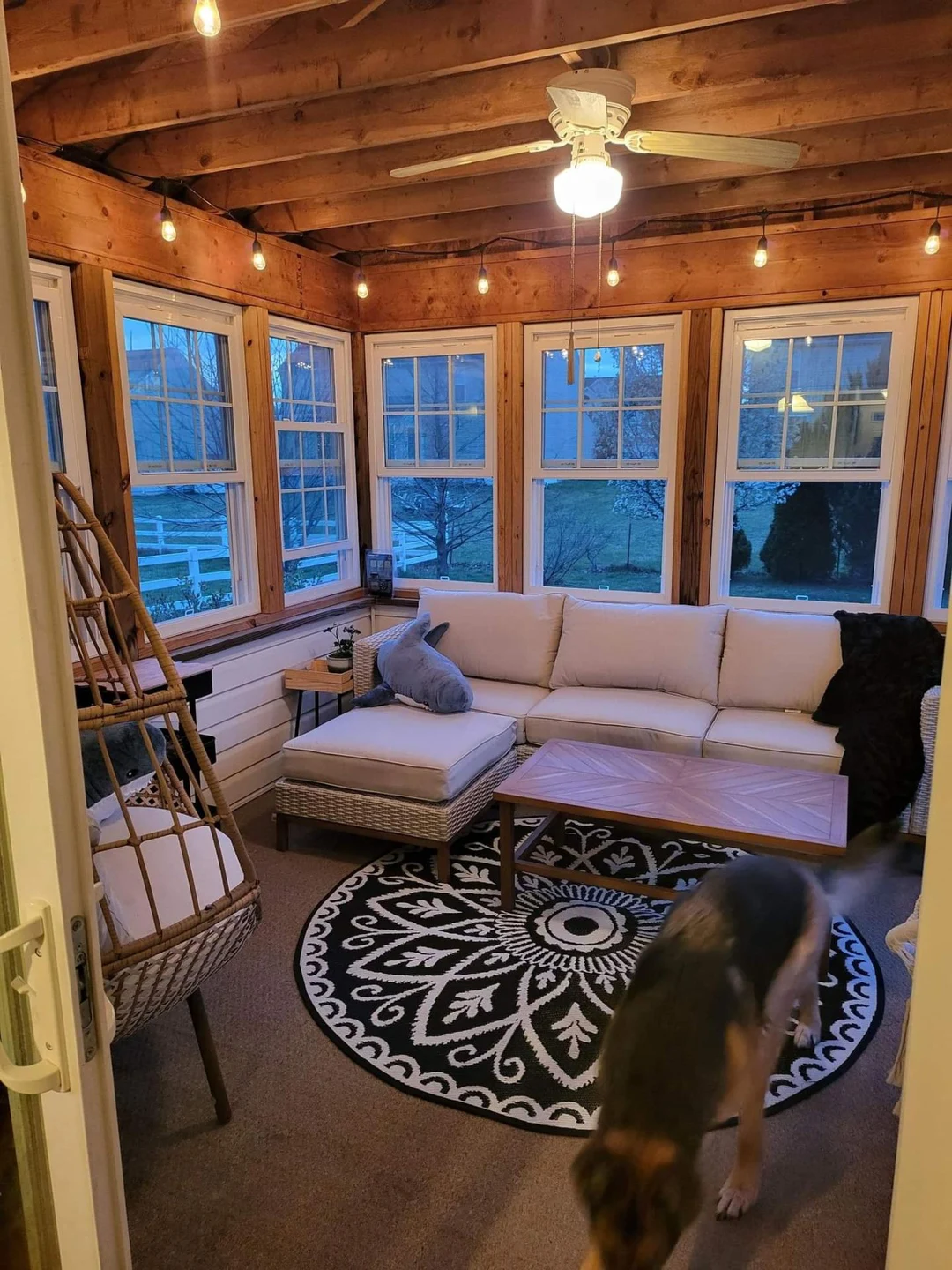 finished my sunroom. pupper for the bonus | Scrolller