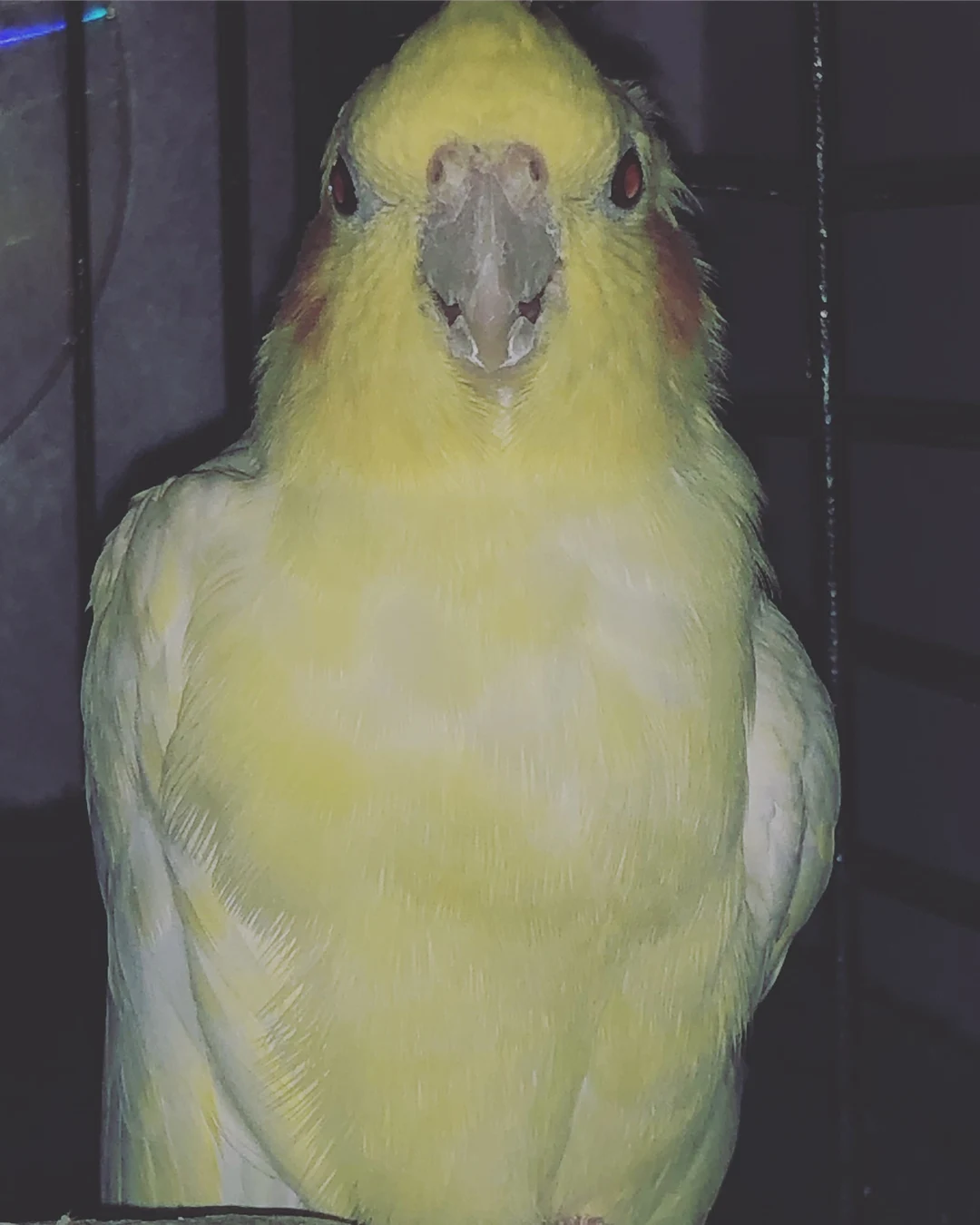 What sort of cryptid is this? | Scrolller