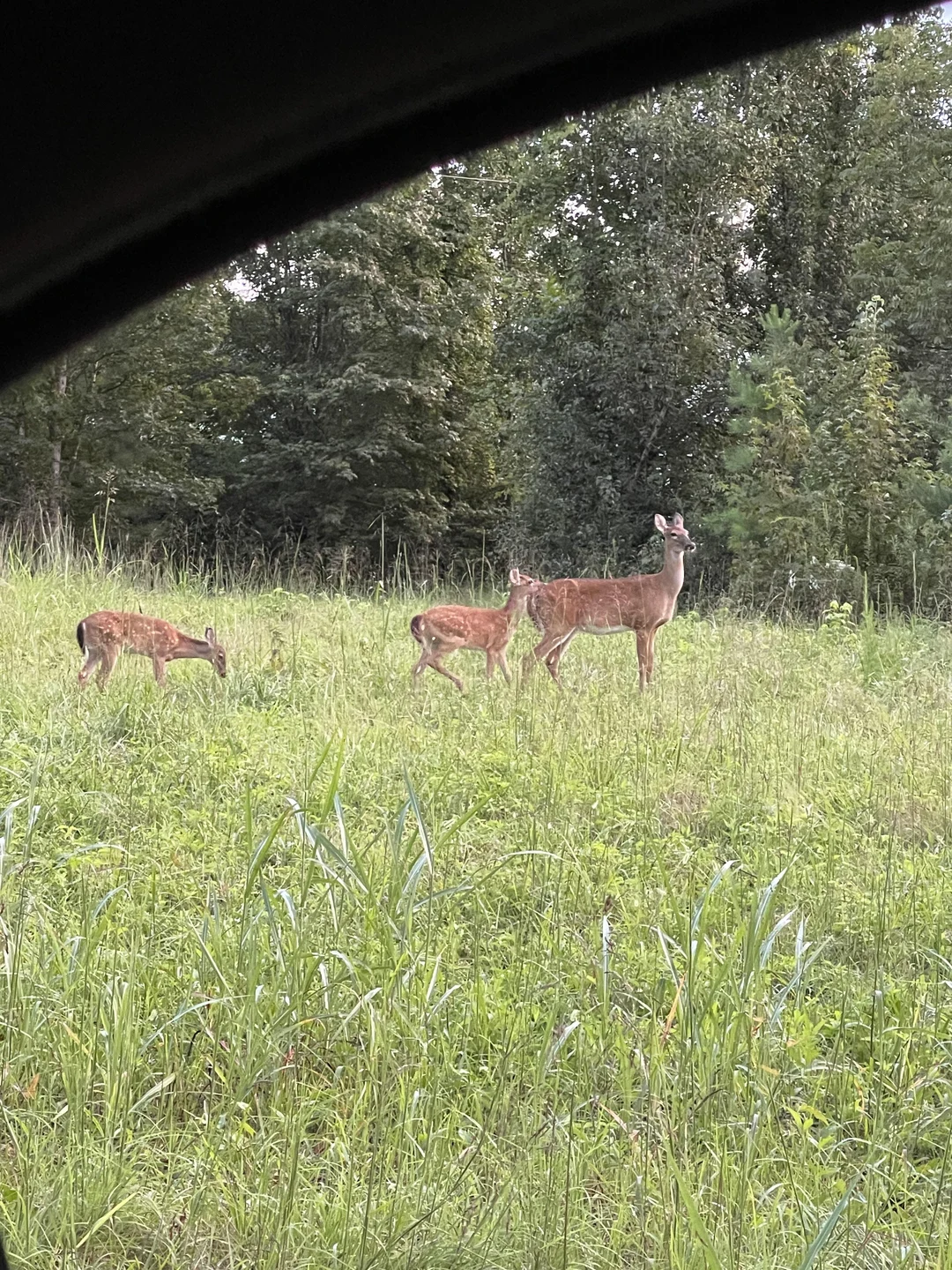 Almost time but these three should be safe | Scrolller