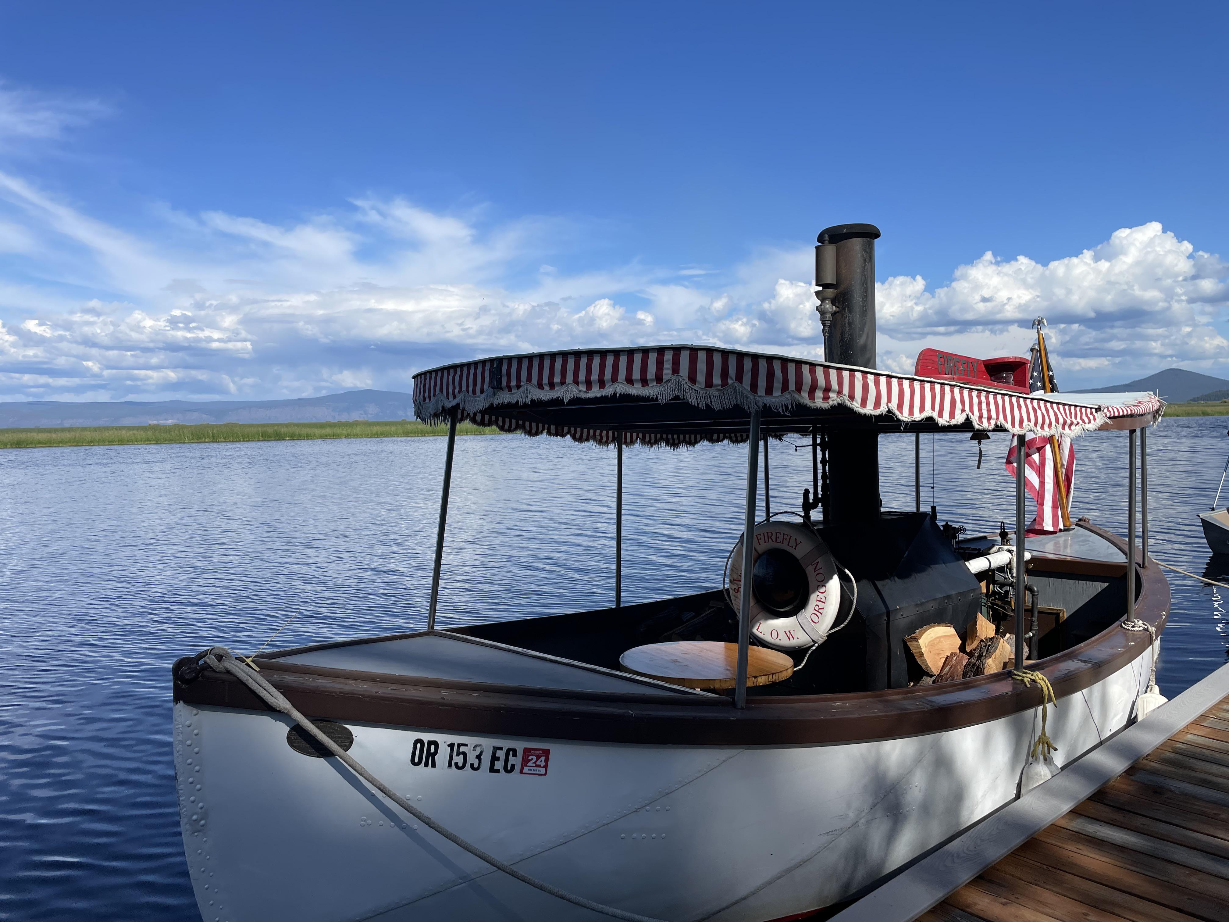 Firefly on the lake | Scrolller