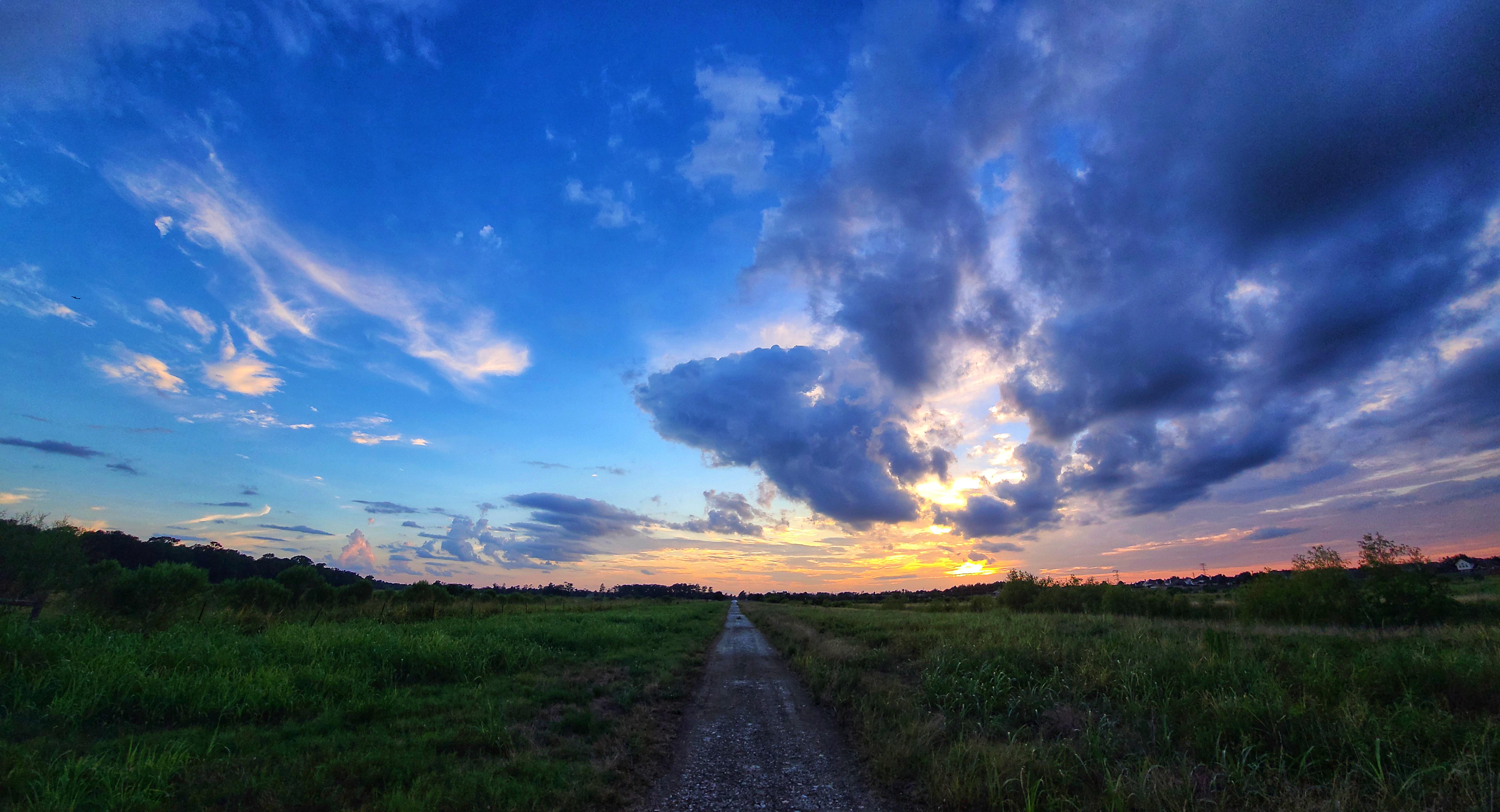 Looking up walking down the road, Houston, TX | Scrolller